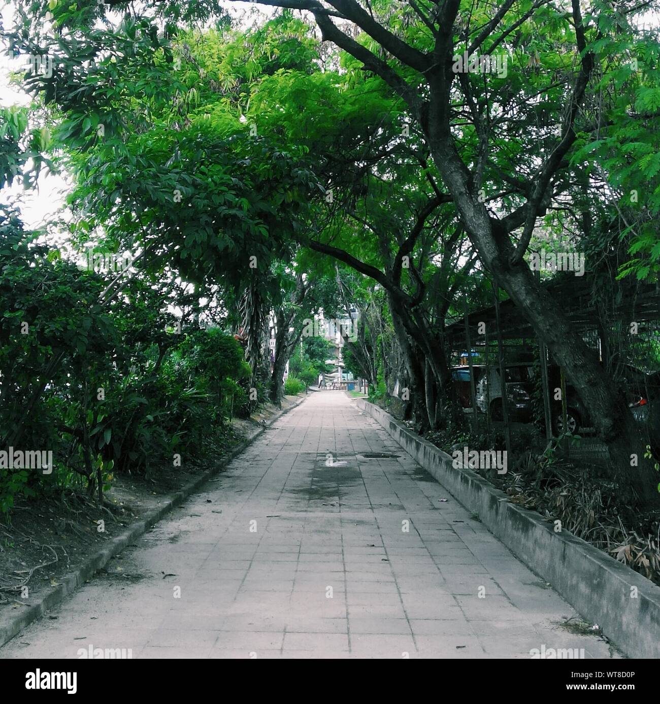 Empty side view of car hi-res stock photography and images - Alamy