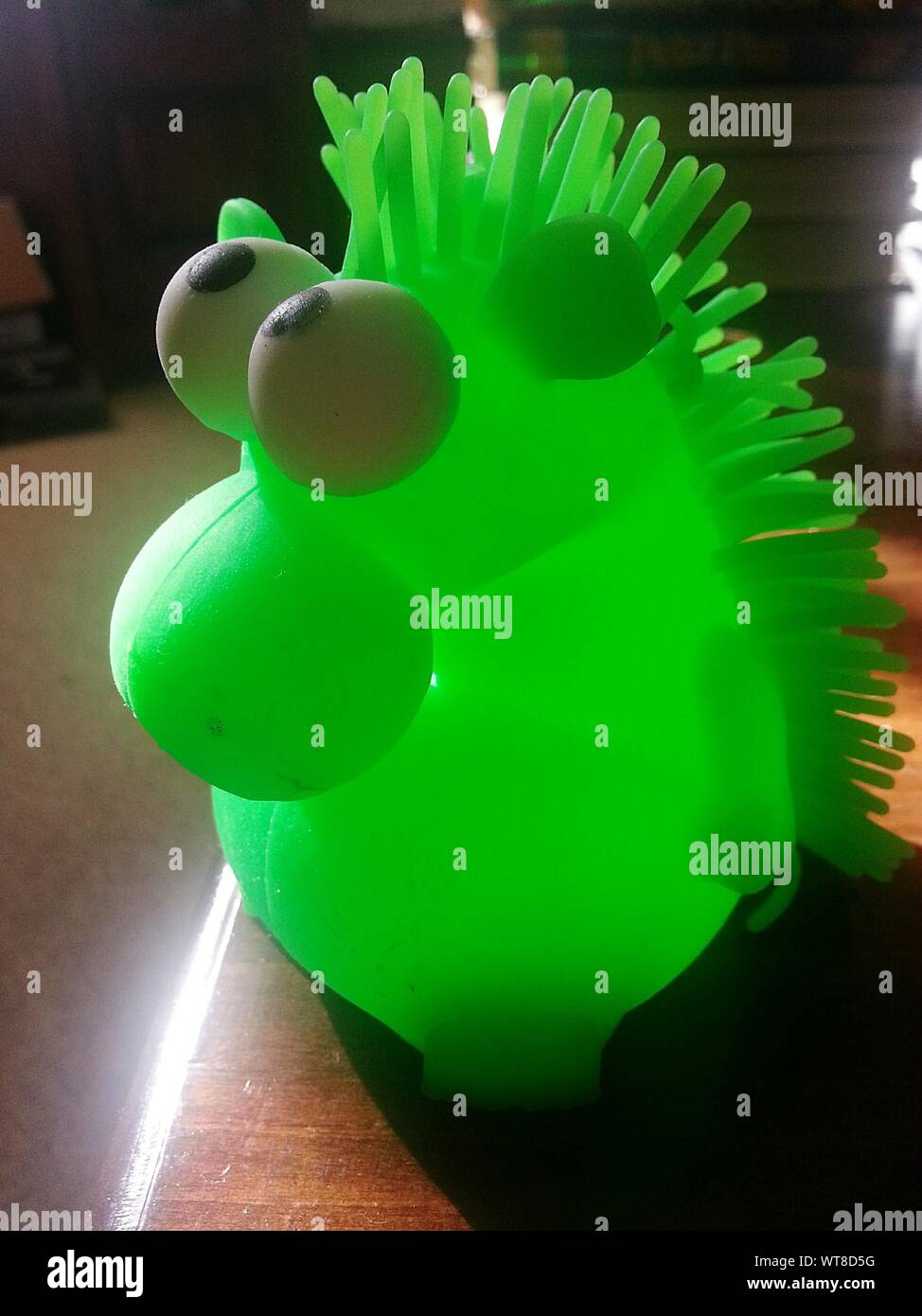 Hedgehog profile hi-res stock photography and images - Alamy