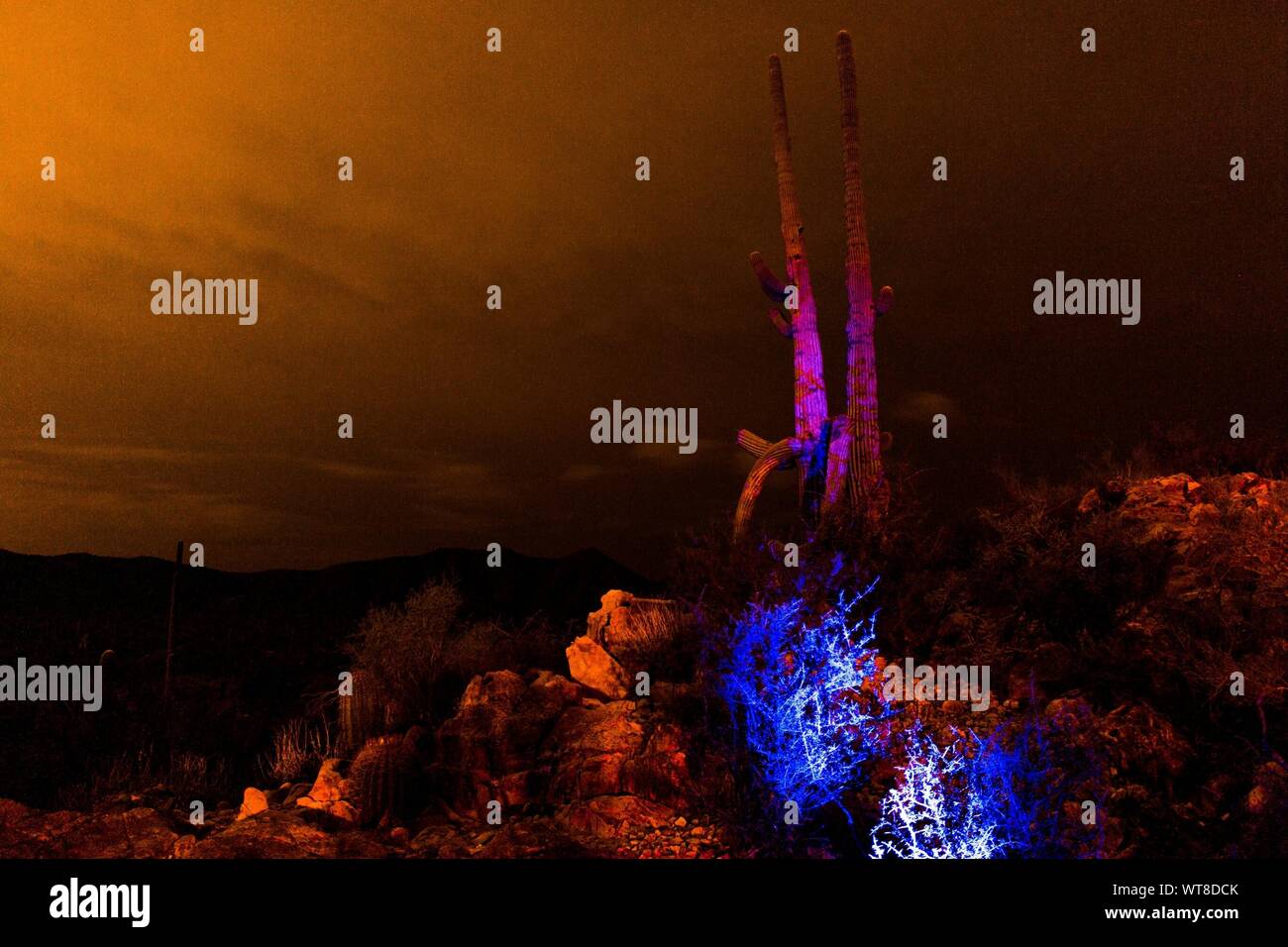 Desert night hi-res stock photography and images - Alamy