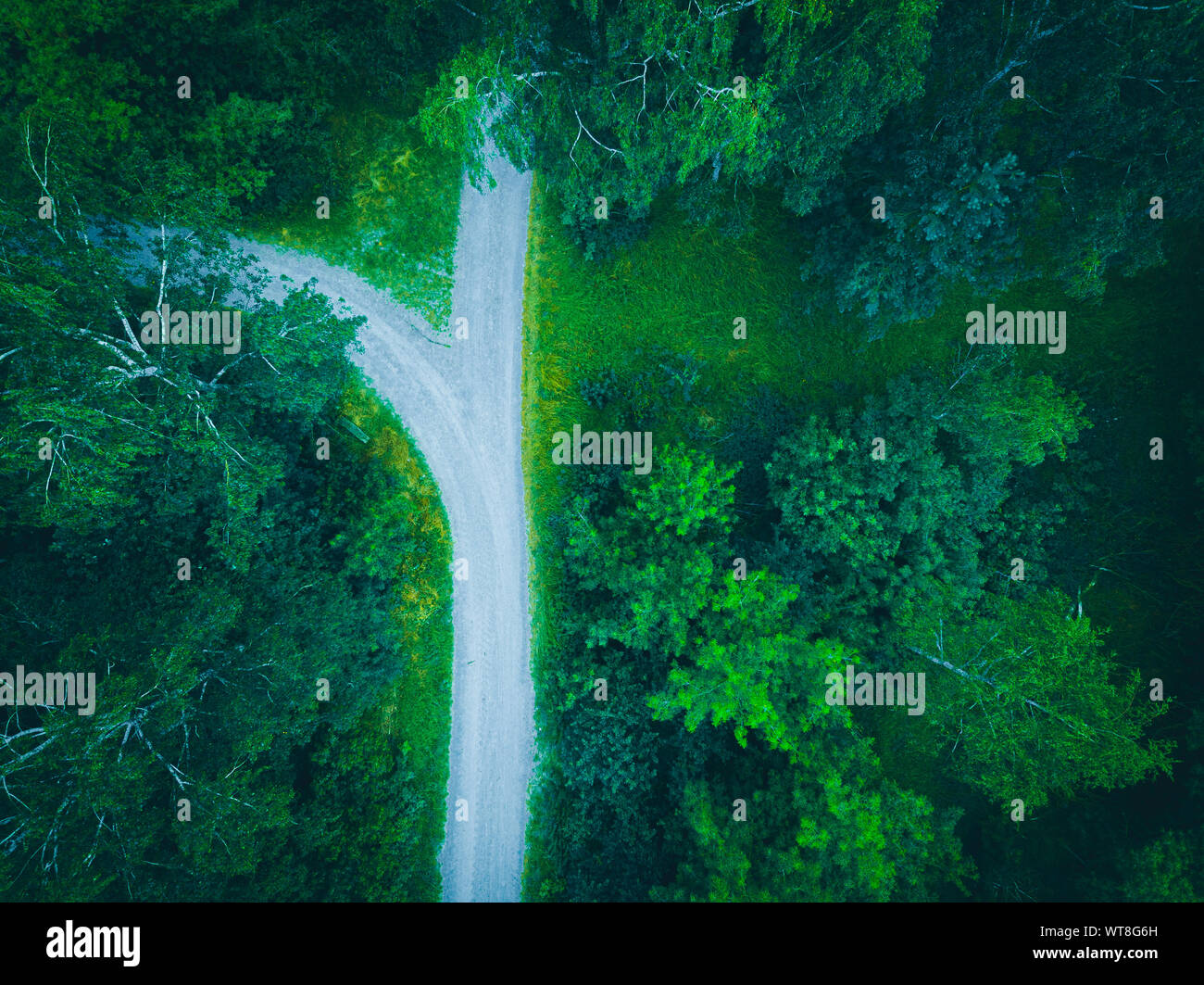 German phenomenon hi-res stock photography and images - Alamy