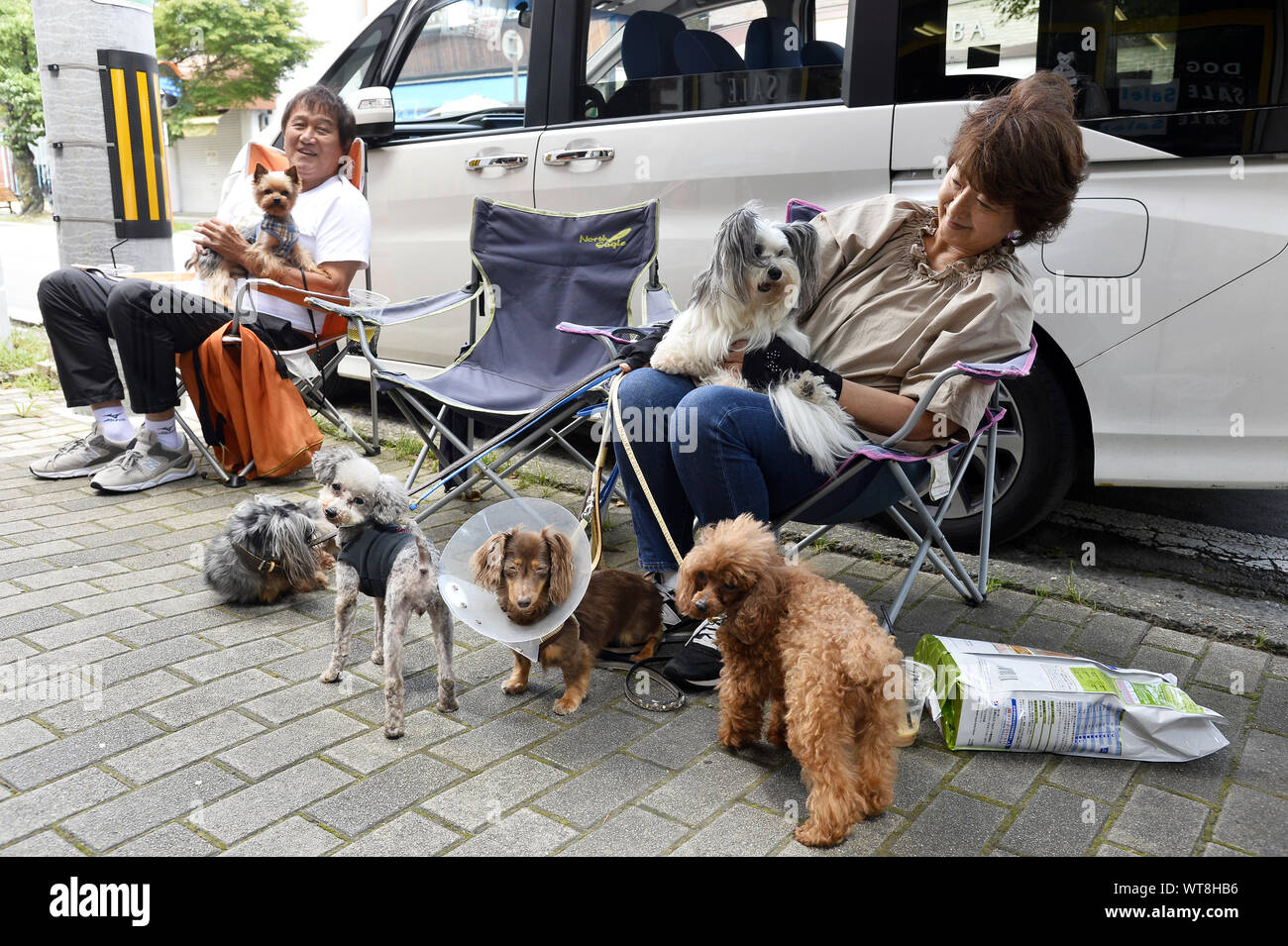 Japanese dogs with owners - Karuizawa City - Japan Stock Photo - Alamy