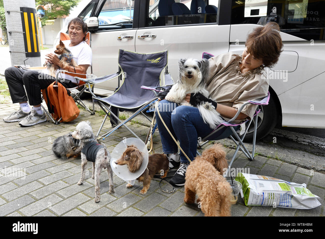 Japanese dogs with owners - Karuizawa City - Japan Stock Photo - Alamy