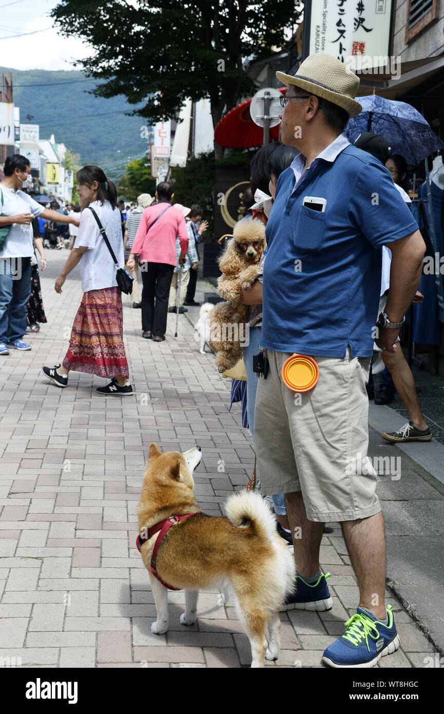 Dog with owner - Karuizawa City - Japan Stock Photo - Alamy