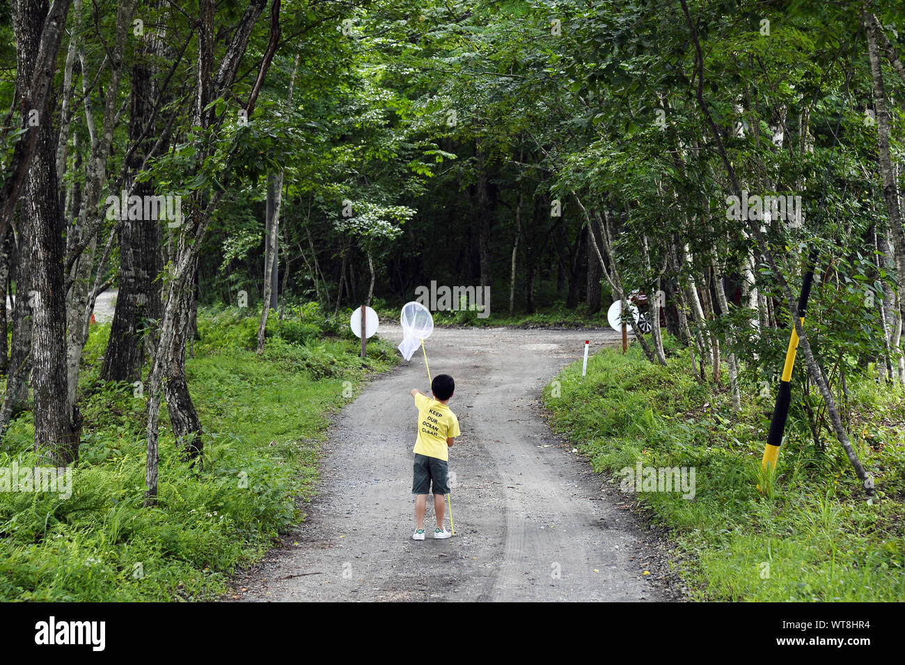 Butterflies in japan hi-res stock photography and images - Alamy