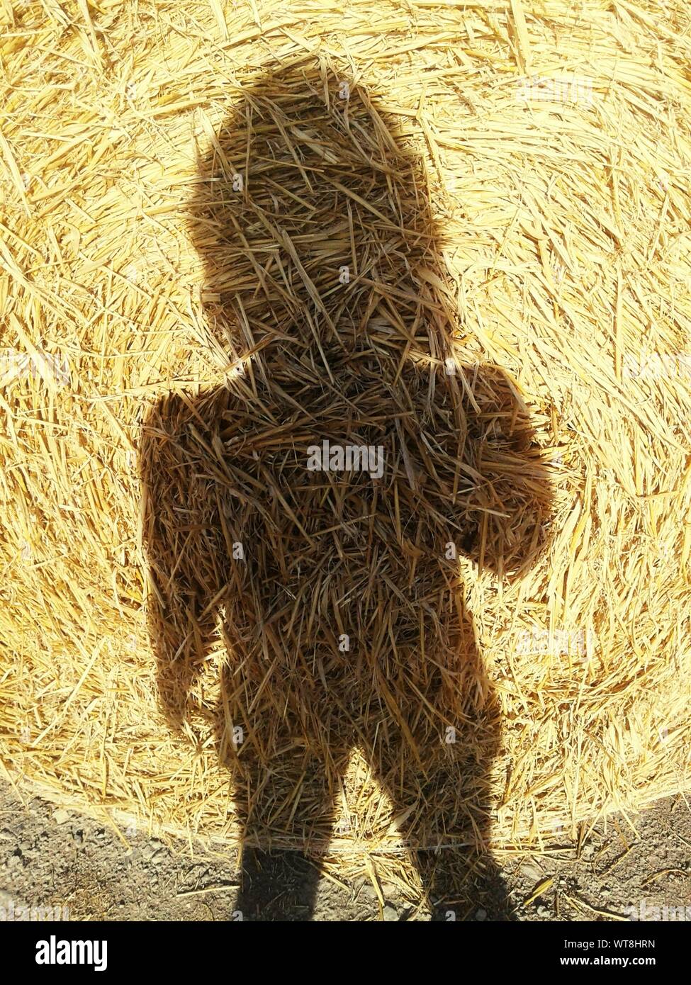 Woman on hay hi-res stock photography and images - Alamy