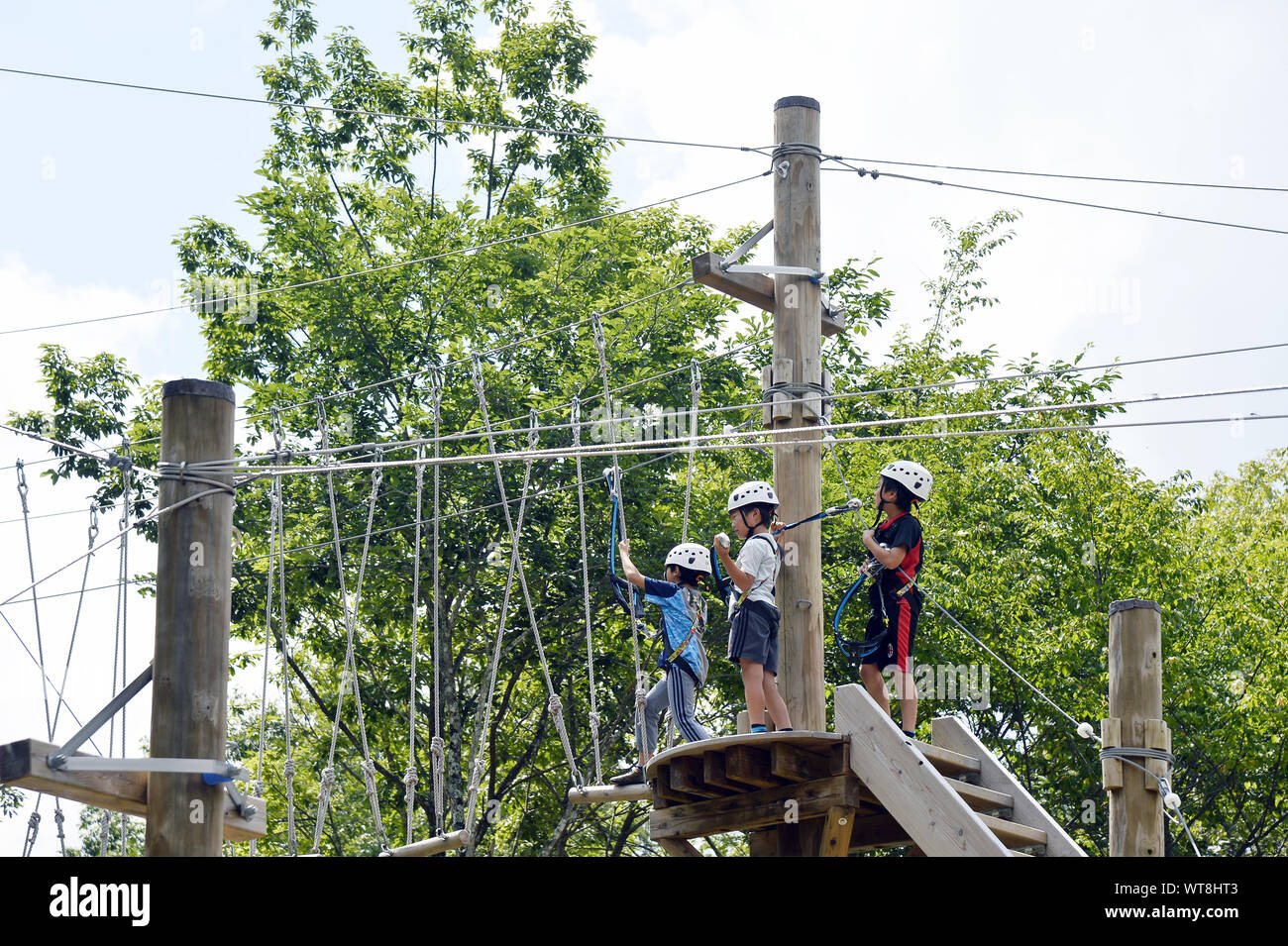 High ropes course - Karuizawa - Japan Stock Photo - Alamy