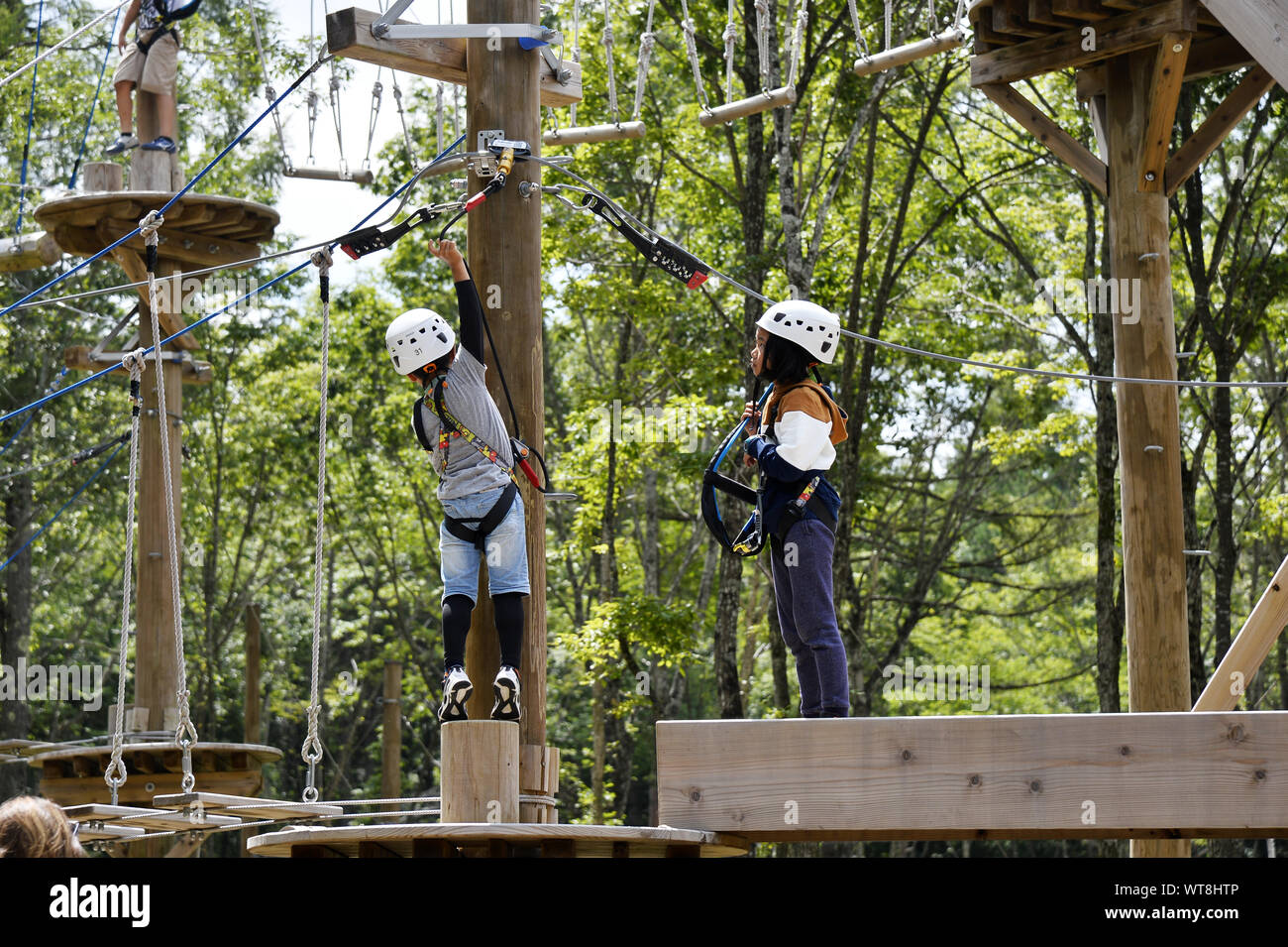 Tree top ropes course hi-res stock photography and images - Alamy