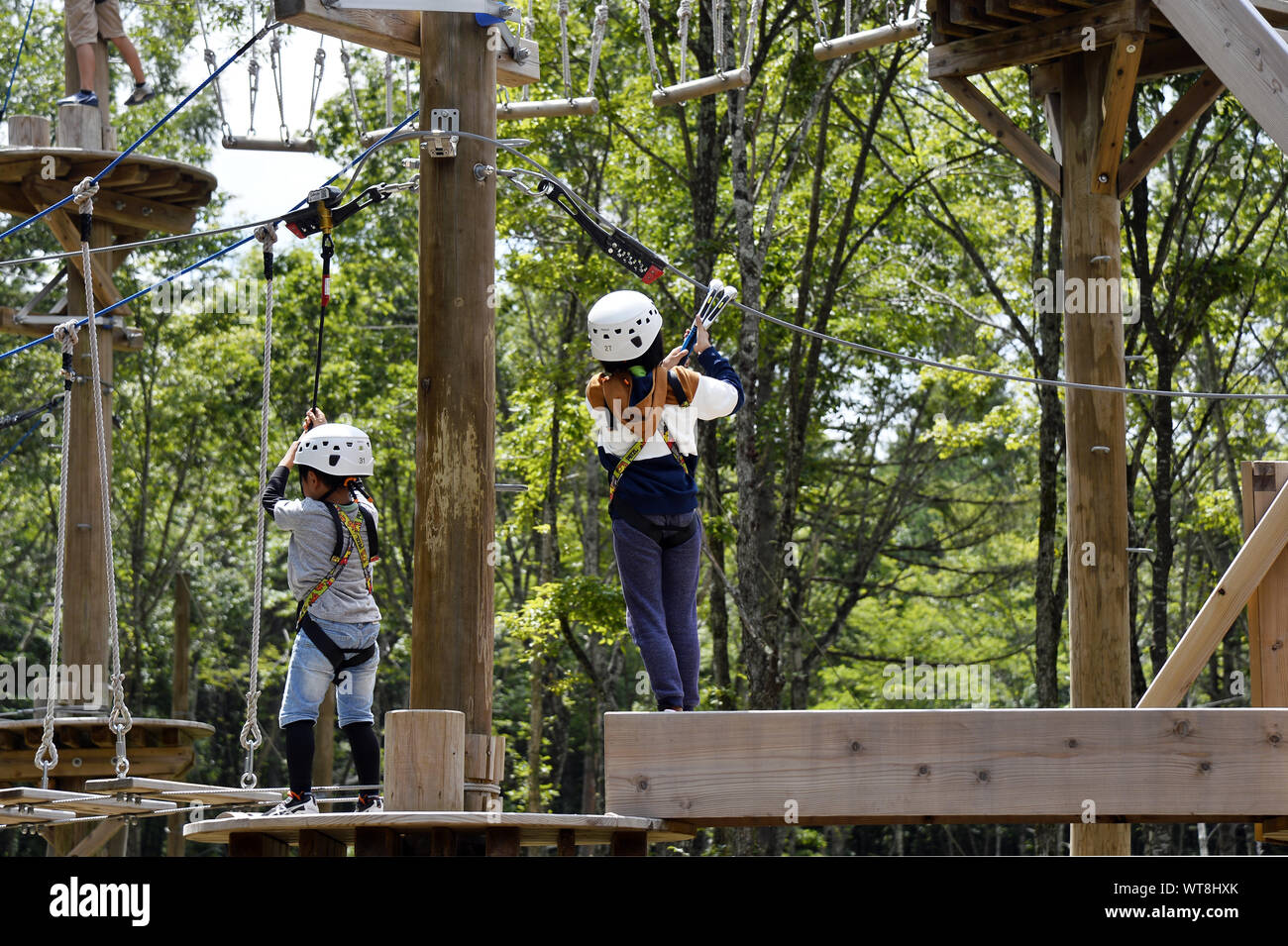 High ropes course - Karuizawa - Japan Stock Photo - Alamy