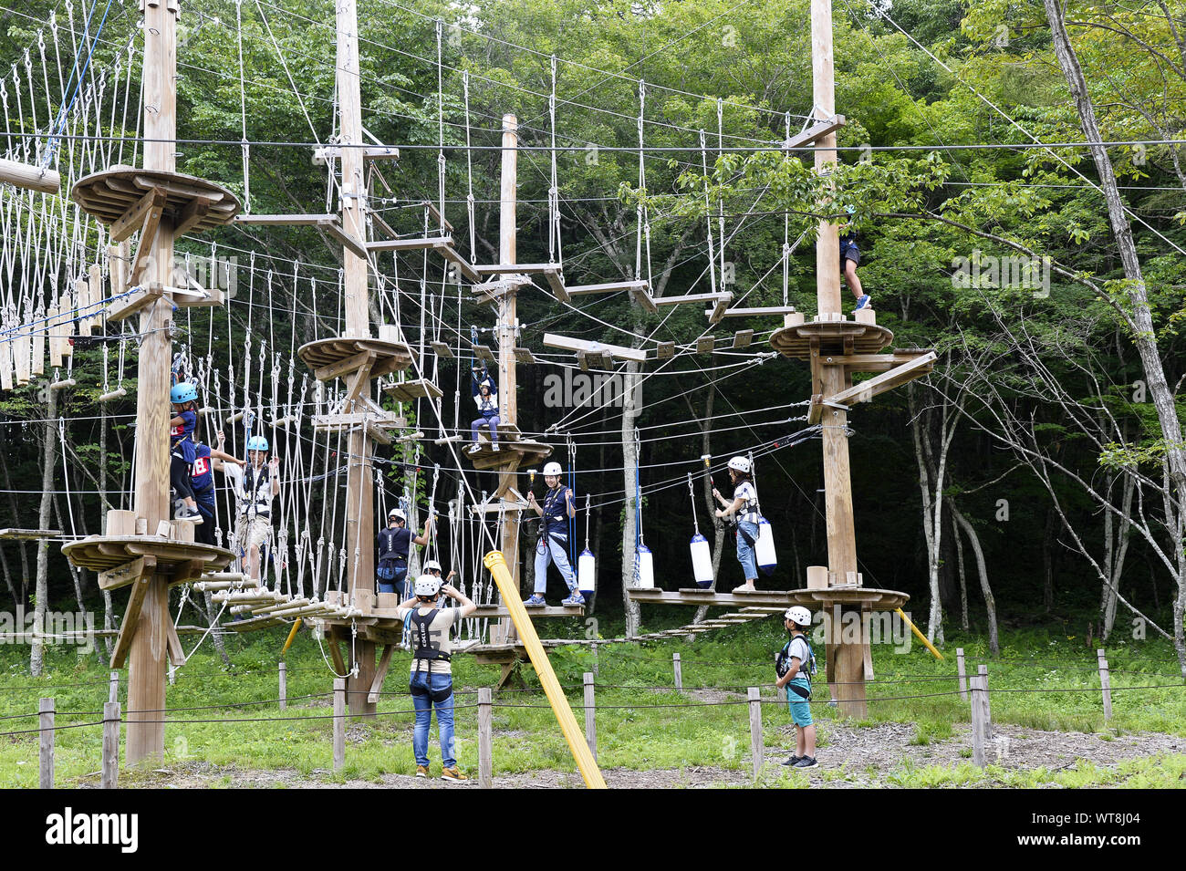 High ropes course - Karuizawa - Japan Stock Photo - Alamy