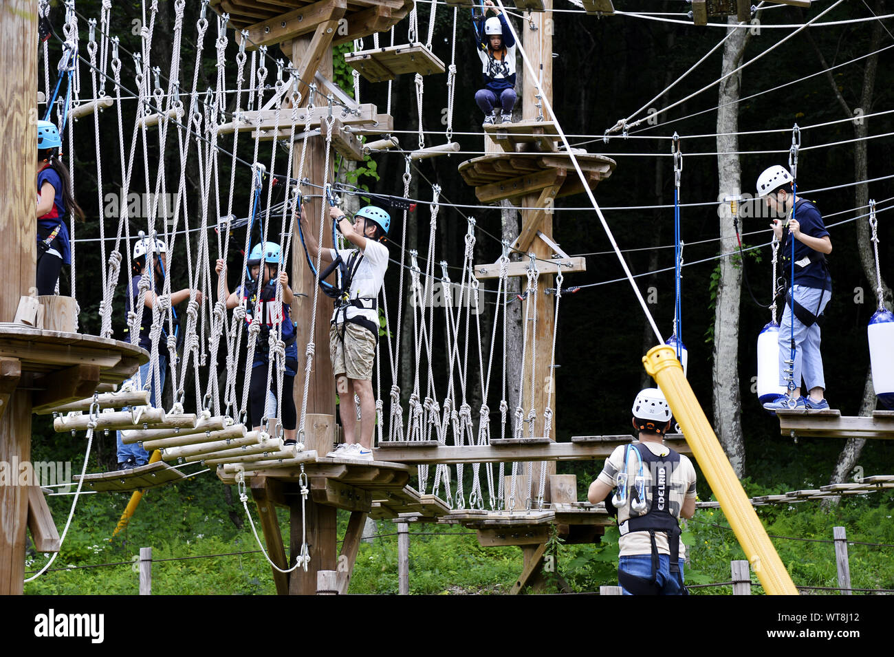 High ropes course - Karuizawa - Japan Stock Photo - Alamy