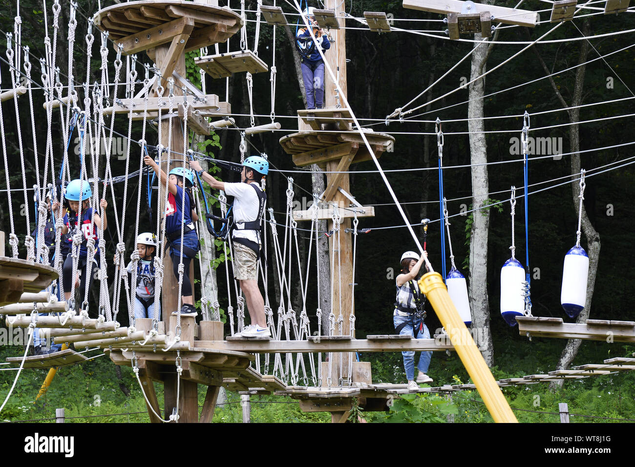High ropes course - Karuizawa - Japan Stock Photo - Alamy