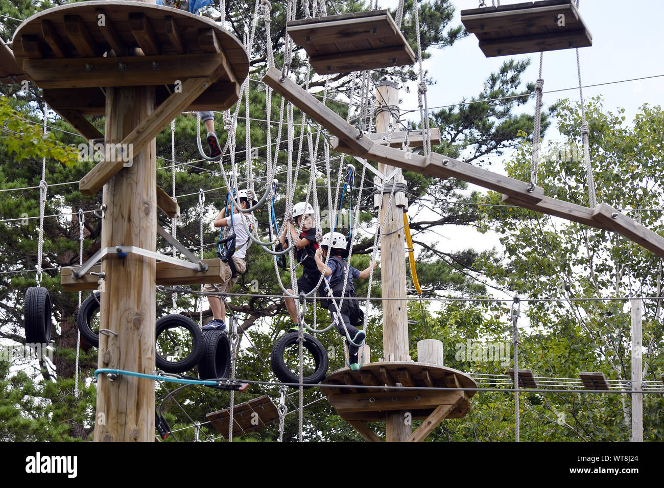 High ropes course - Karuizawa - Japan Stock Photo - Alamy
