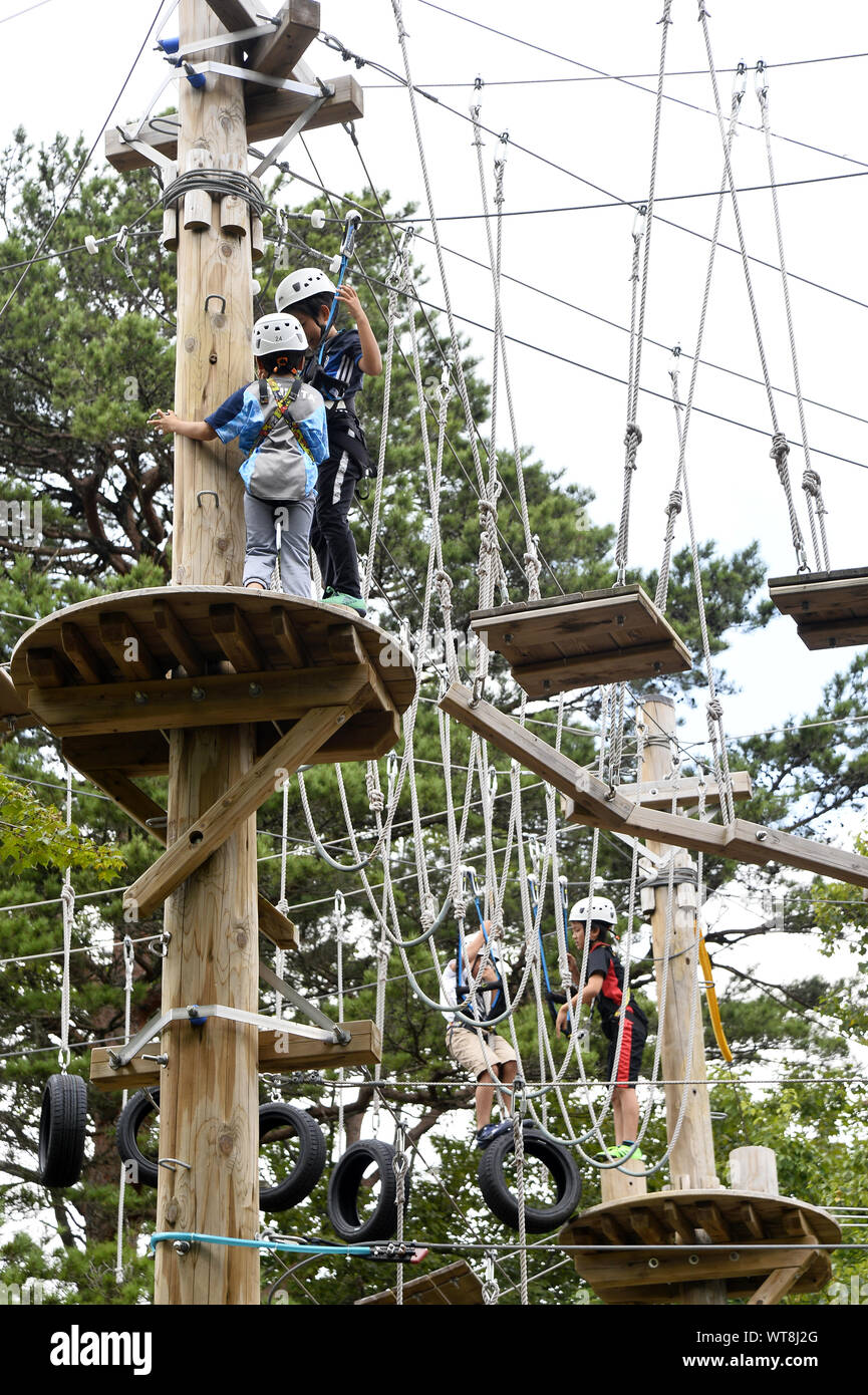 High ropes course - Karuizawa - Japan Stock Photo - Alamy