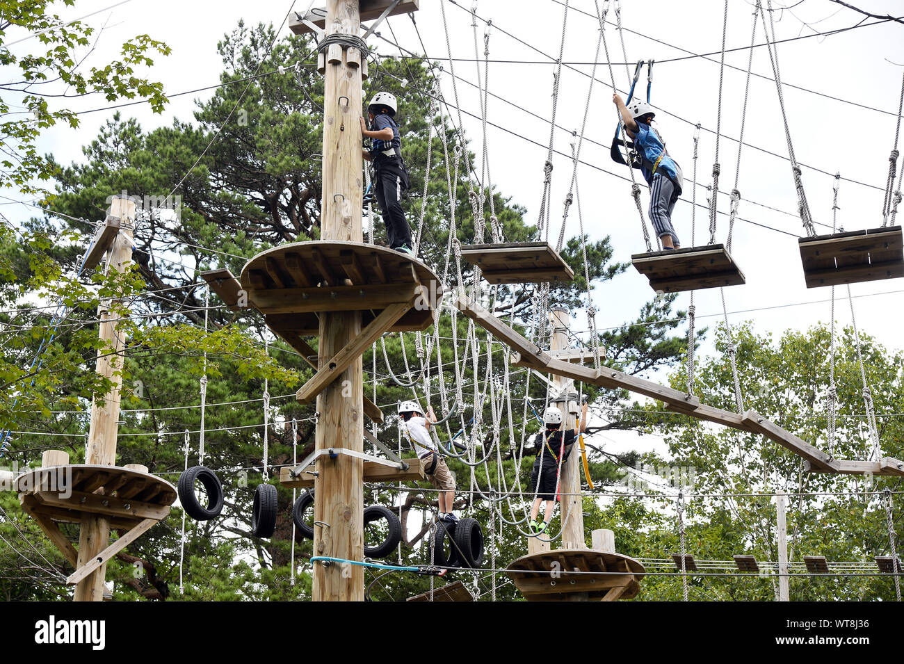 High ropes course - Karuizawa - Japan Stock Photo - Alamy