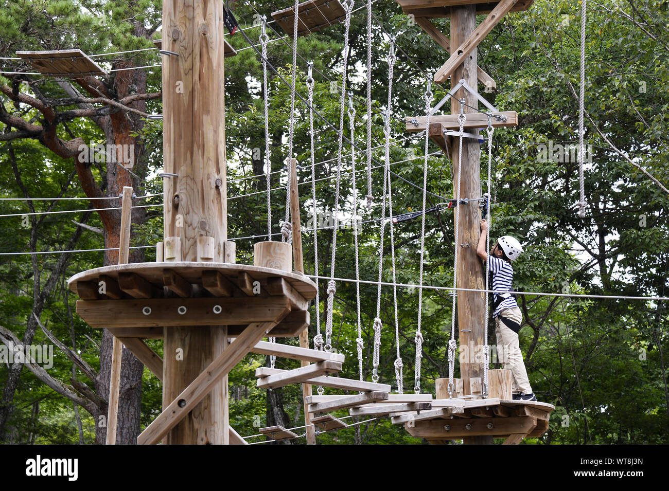 High ropes course - Karuizawa - Japan Stock Photo - Alamy