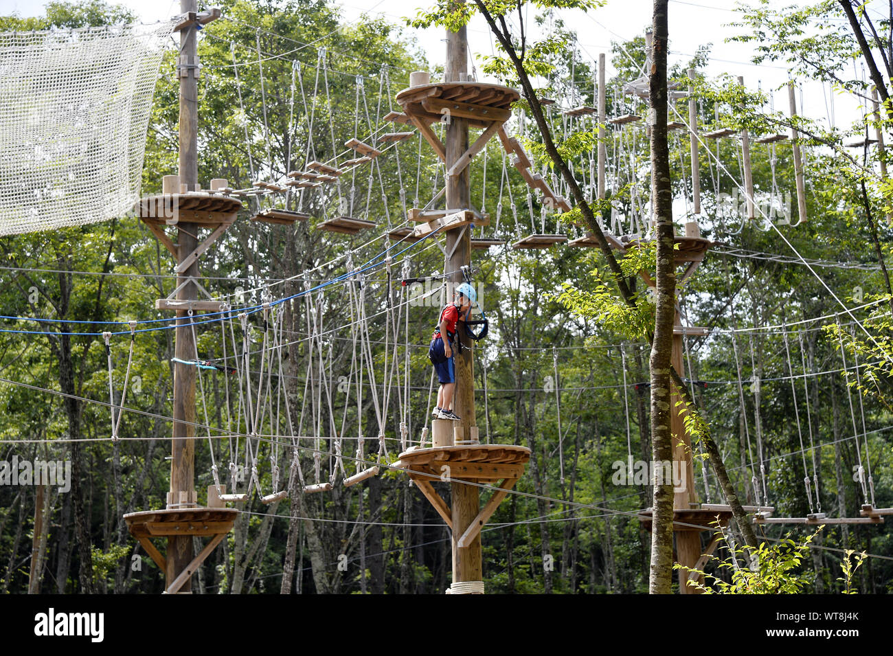 High ropes course - Karuizawa - Japan Stock Photo - Alamy