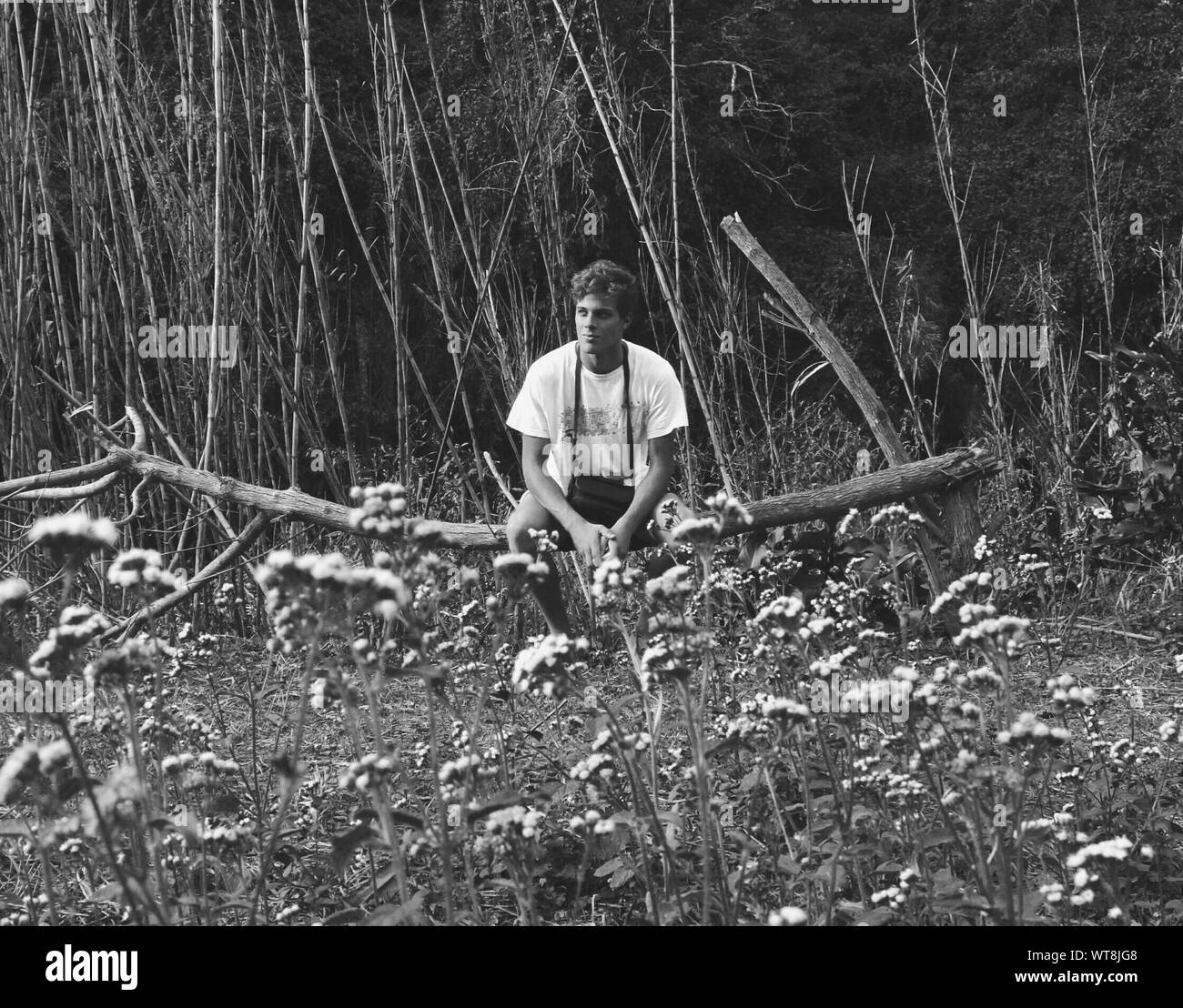 Real people men tree Black and White Stock Photos & Images - Alamy