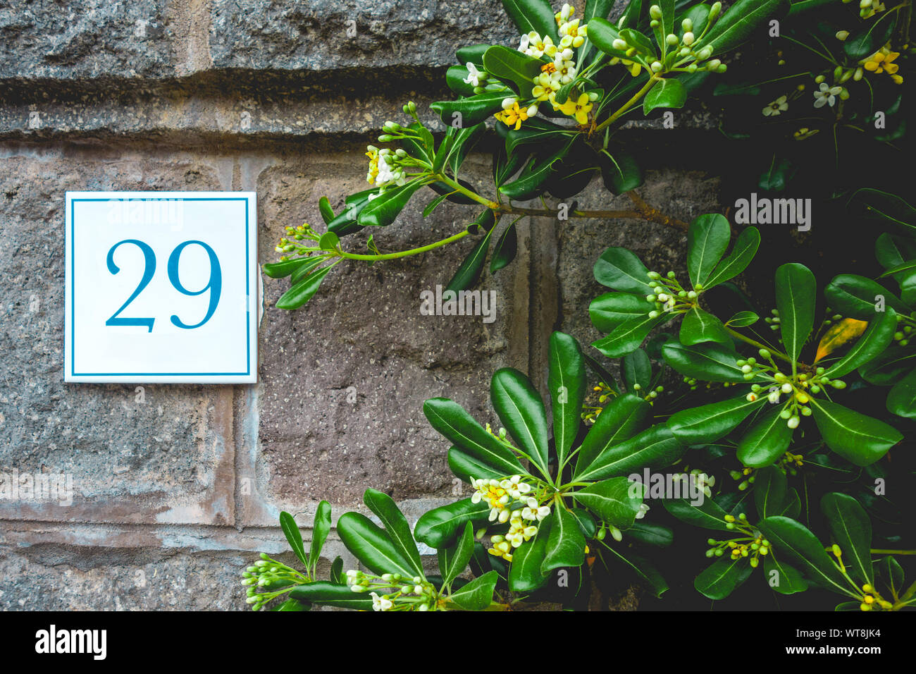 House number 29 sign hi-res stock photography and images - Alamy