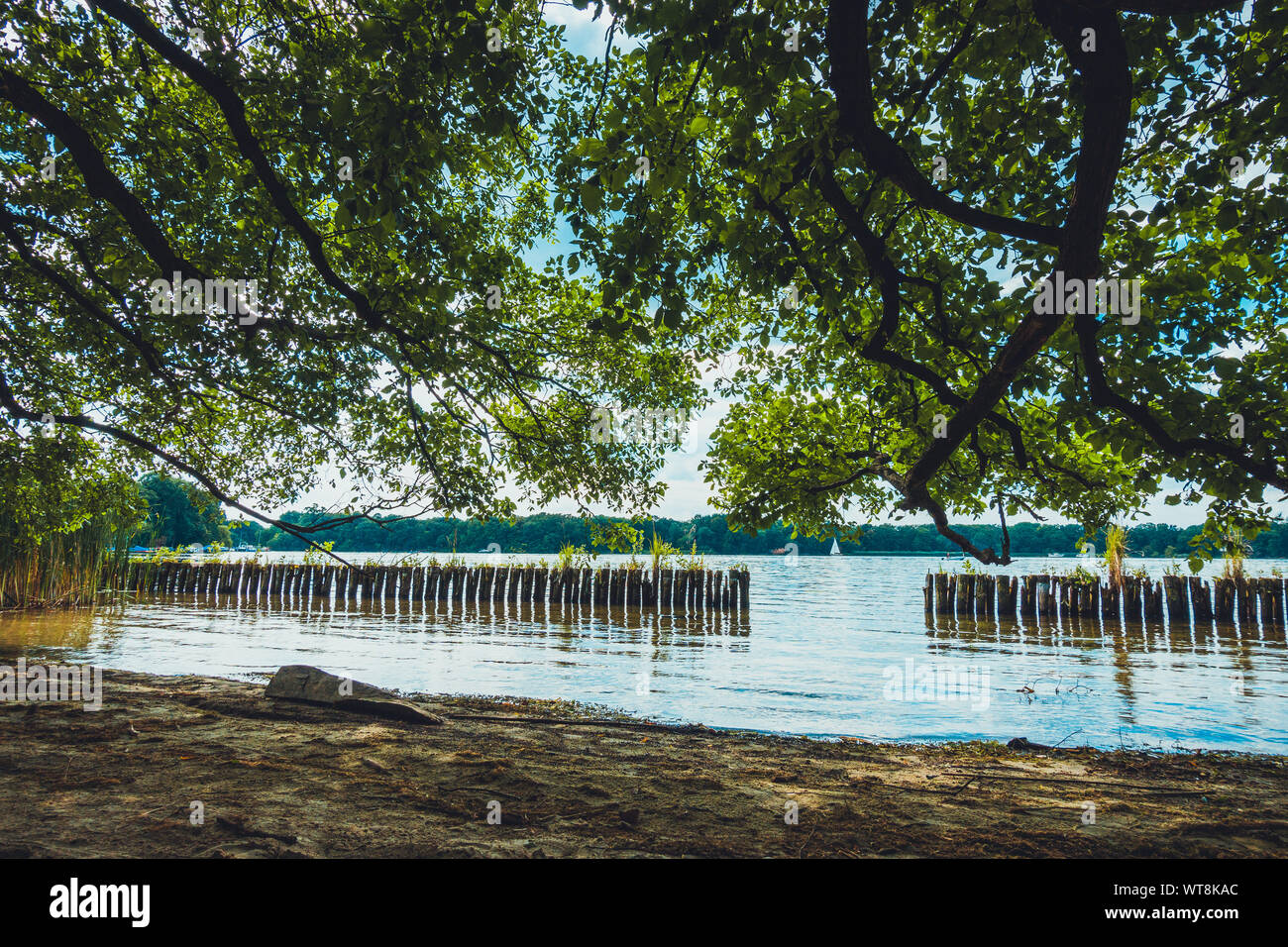Beachline hi-res stock photography and images - Alamy