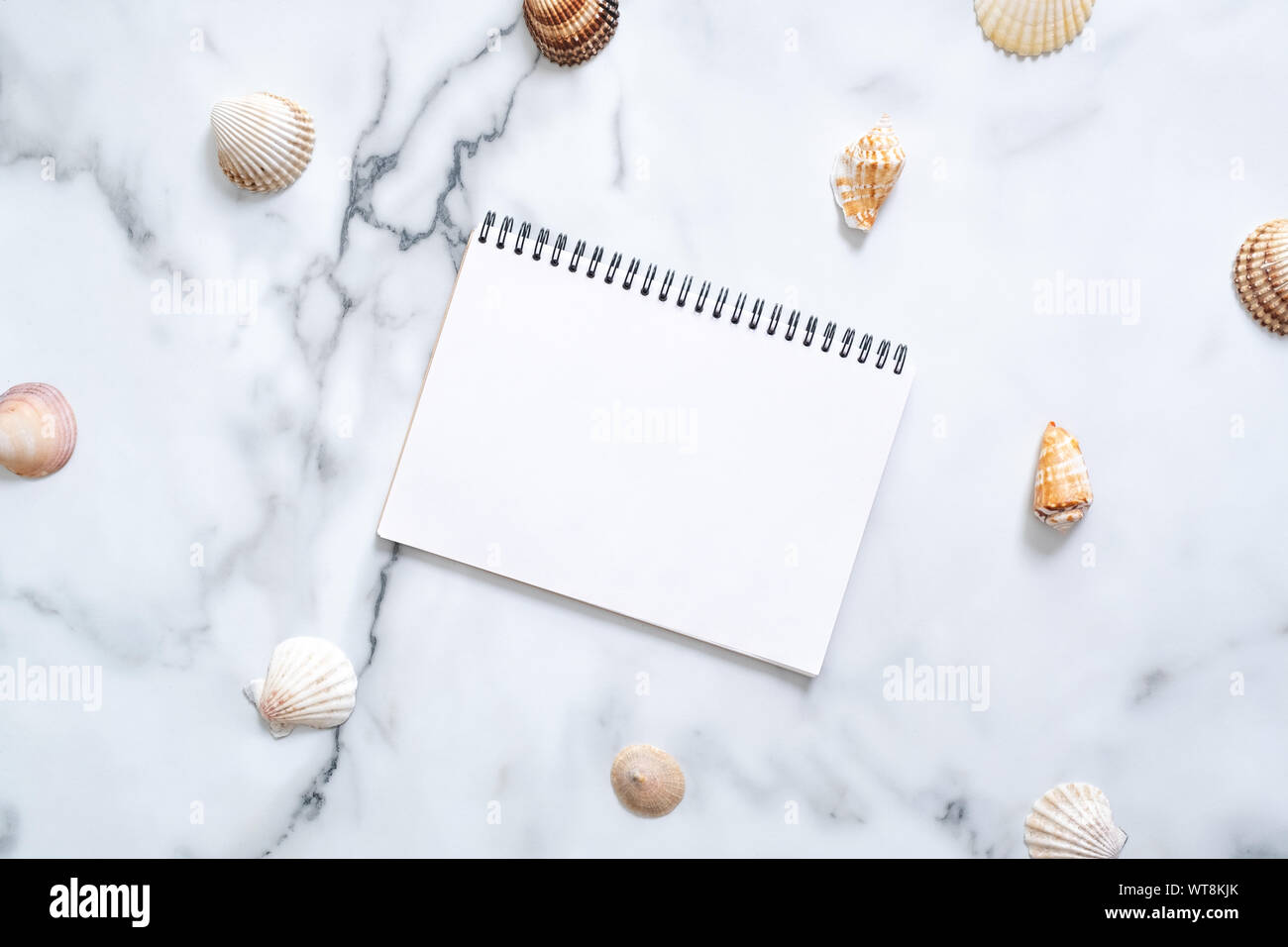 Sea shells and blank paper notepad with copy space for your text on ...