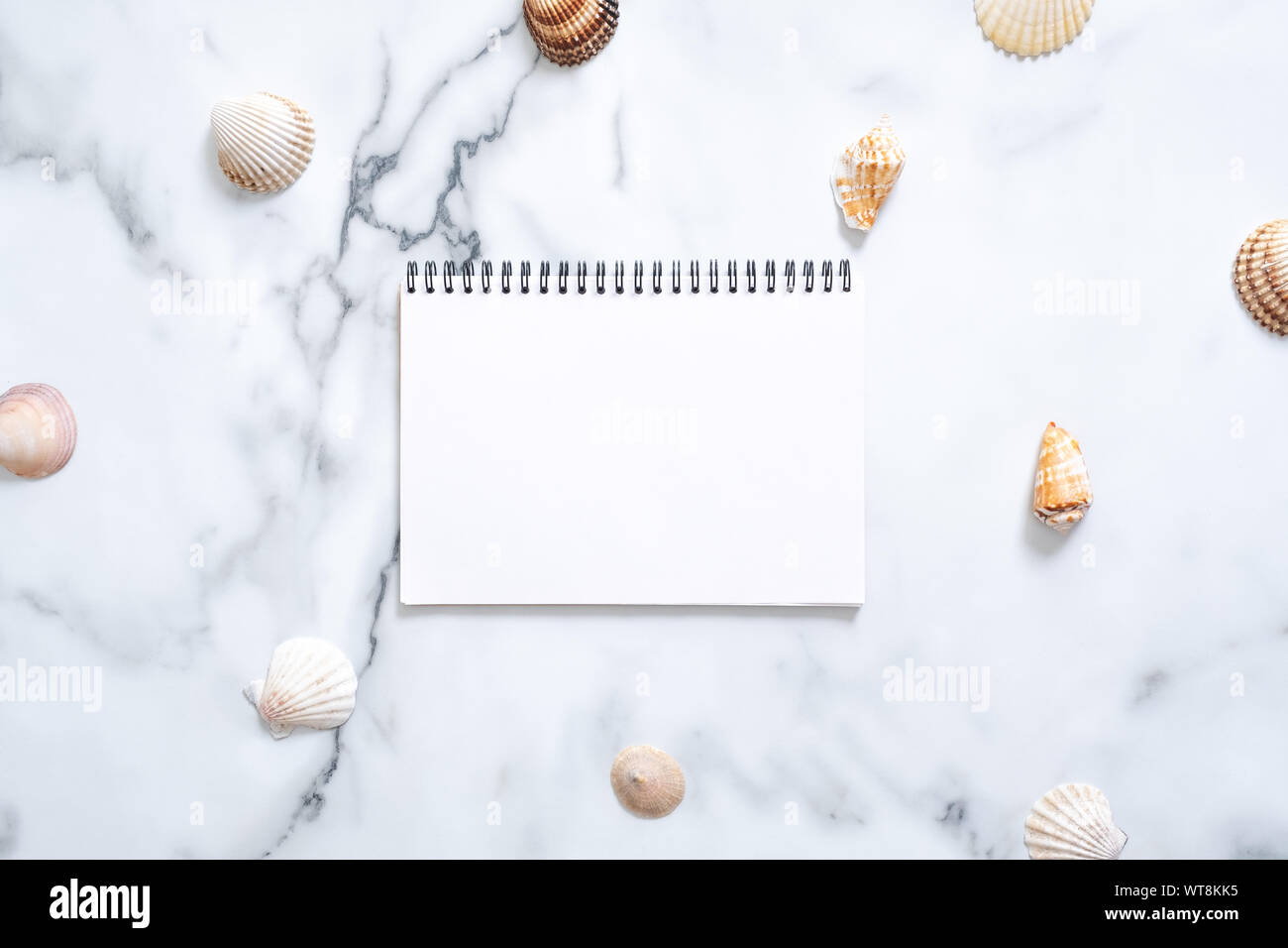 Sea shells and blank paper notepad with copy space for your text on ...
