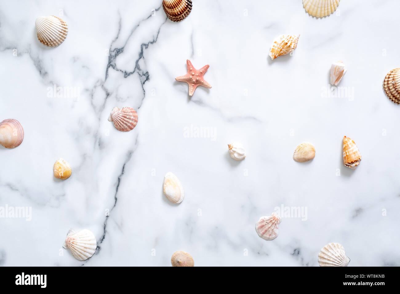Sea shells pattern on marble desk. Flat lay, top view, overhead Stock ...