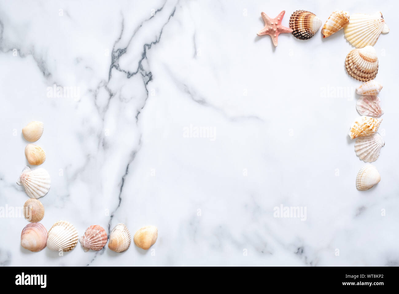 Summer composition. Frame made of sea shells on marble background. Flat ...