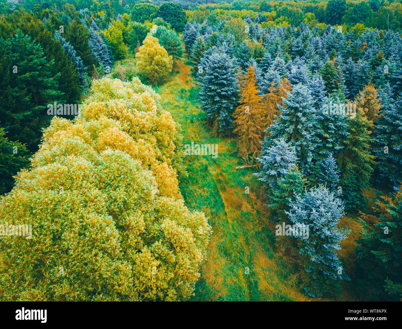 Flying over mountain deciduous forest hi-res stock photography and ...