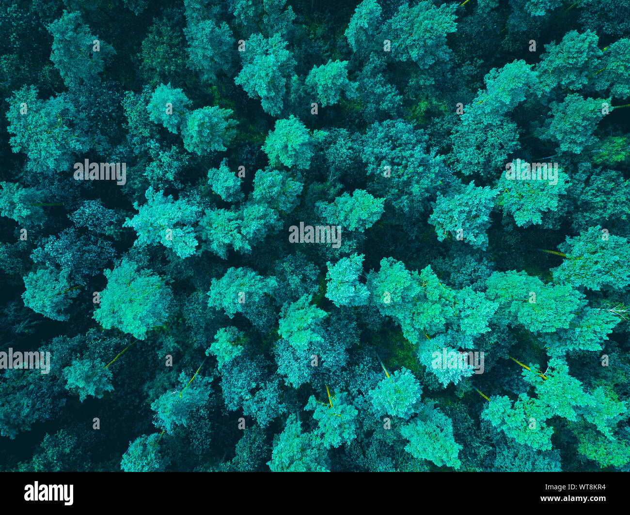 Image with deep green colors hi-res stock photography and images - Alamy