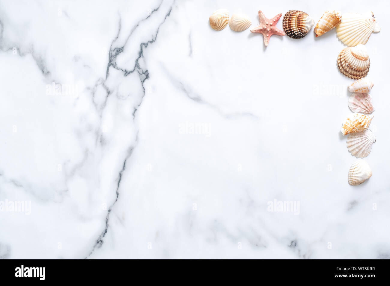 Summer composition. Frame made of sea shells on marble background. Flat ...