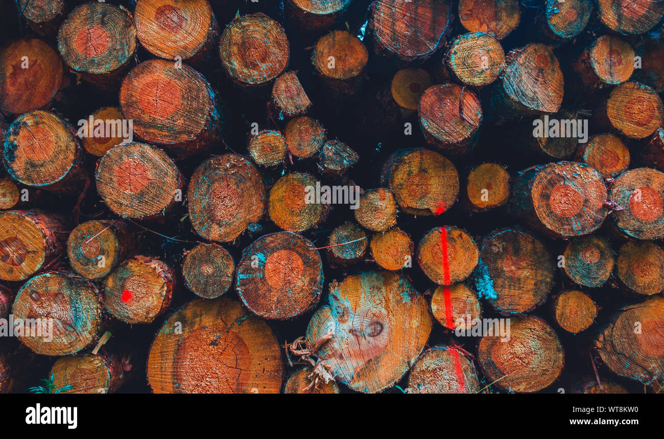 wooden trees are stapled as texture Stock Photo - Alamy