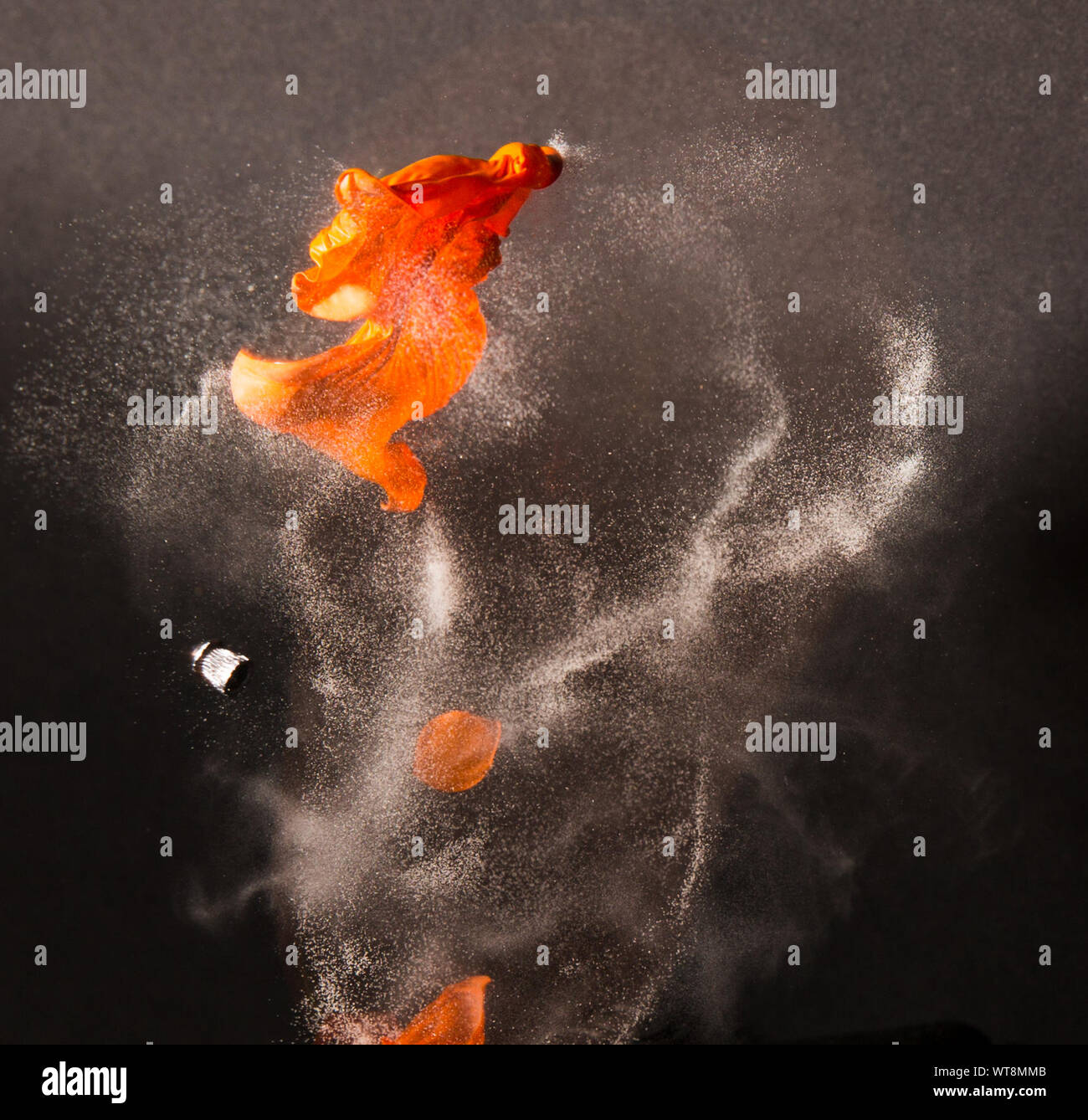 Balloon exploding hi-res stock photography and images - Alamy