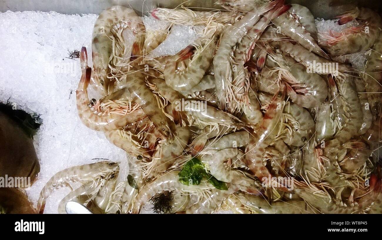 Raw frozen prawns hi-res stock photography and images - Alamy