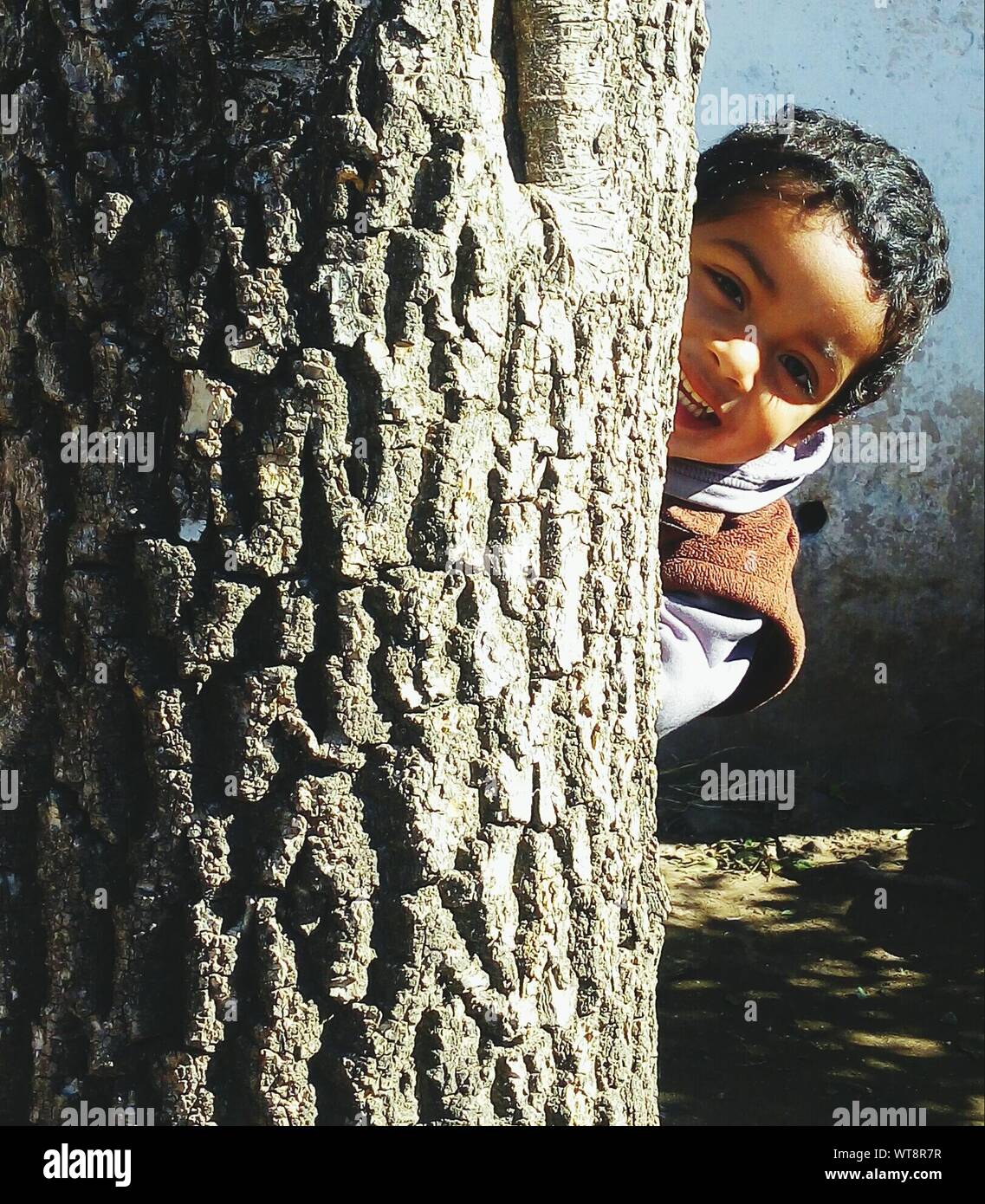 Boy Hiding Behind Tree High Resolution Stock Photography and Images - Alamy