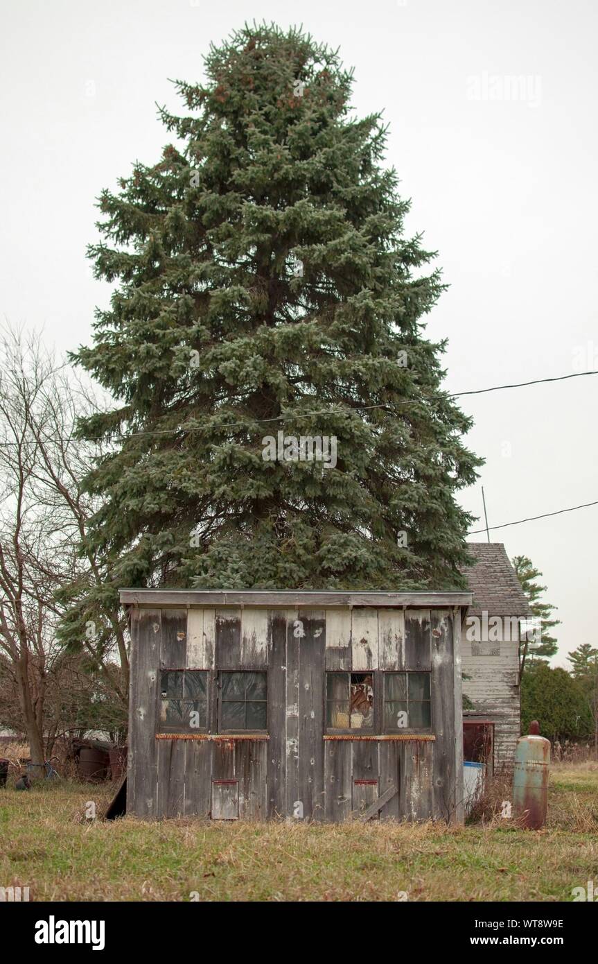 Shed and tree hi-res stock photography and images - Alamy