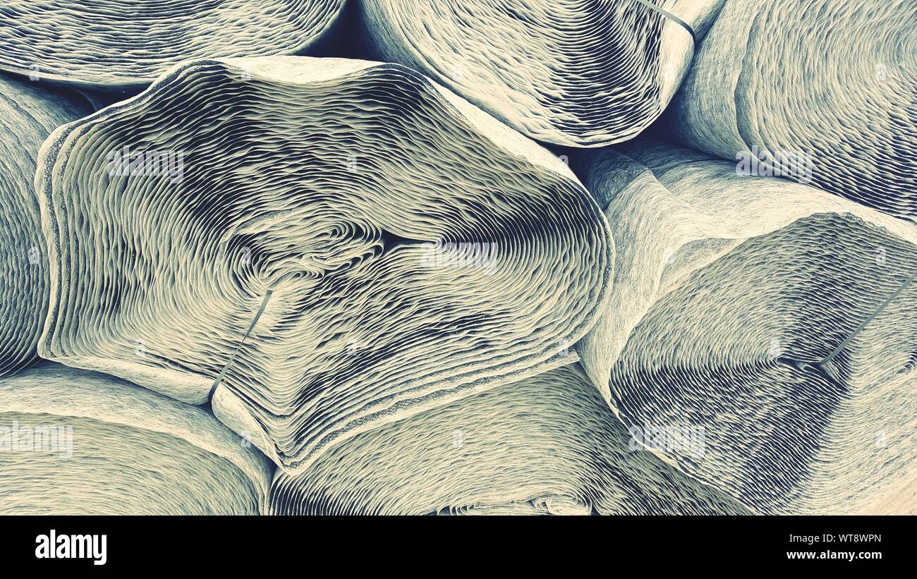 Rolled paper hi-res stock photography and images - Alamy