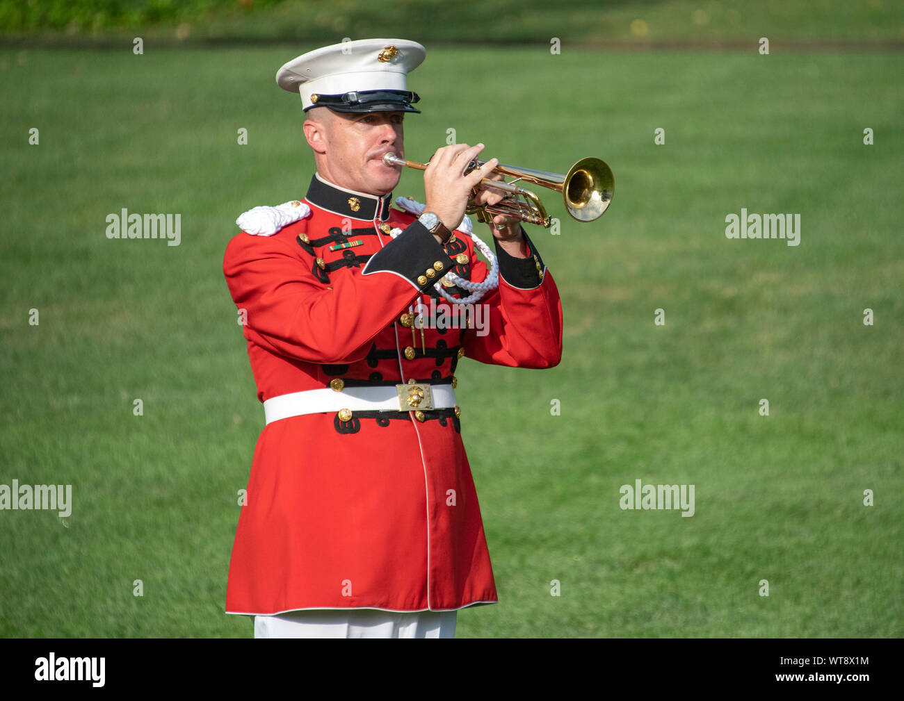 Plays taps hi-res stock photography and images - Alamy