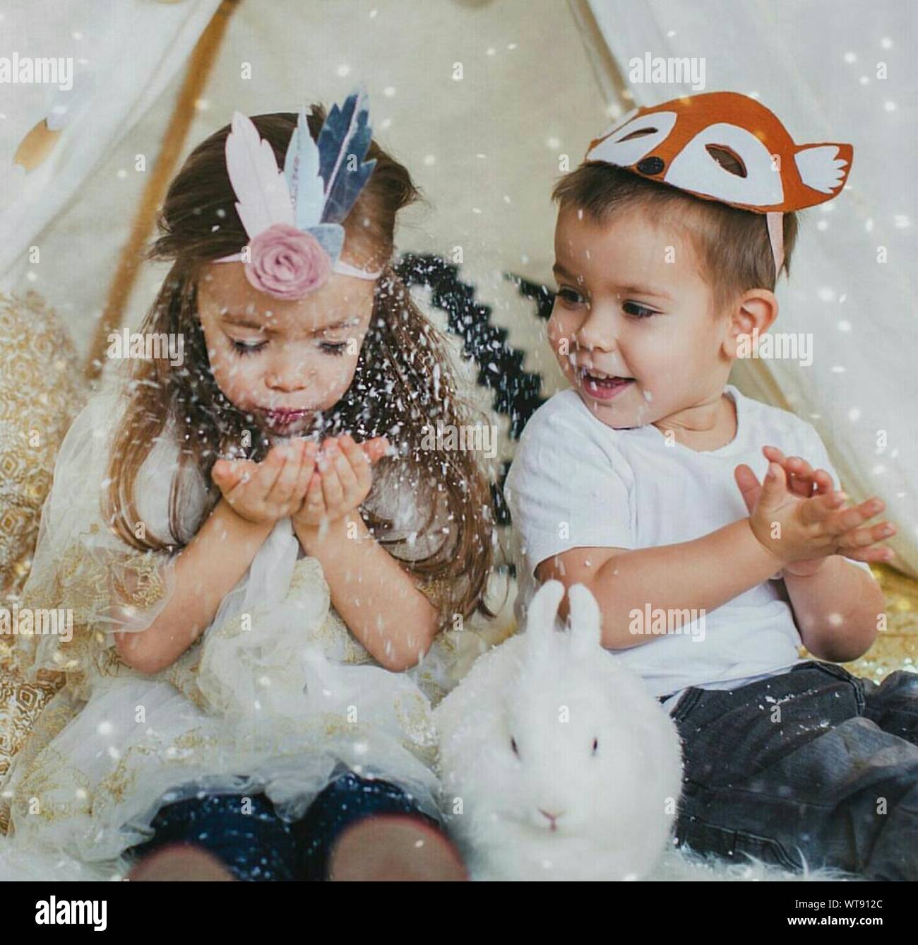 Two rabbit hi-res stock photography and images - Alamy