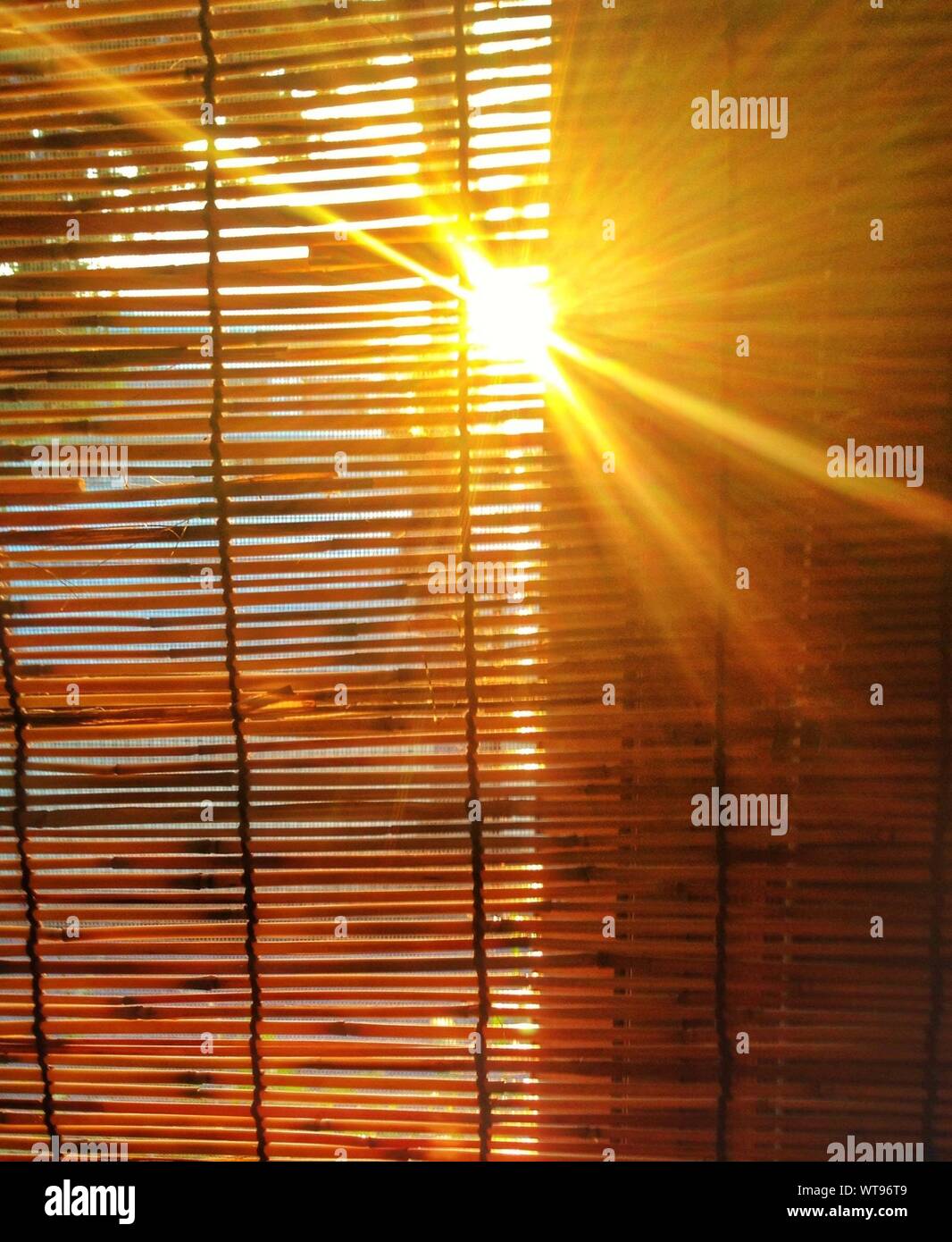 Venetian Blind High Resolution Stock Photography and Images - Alamy