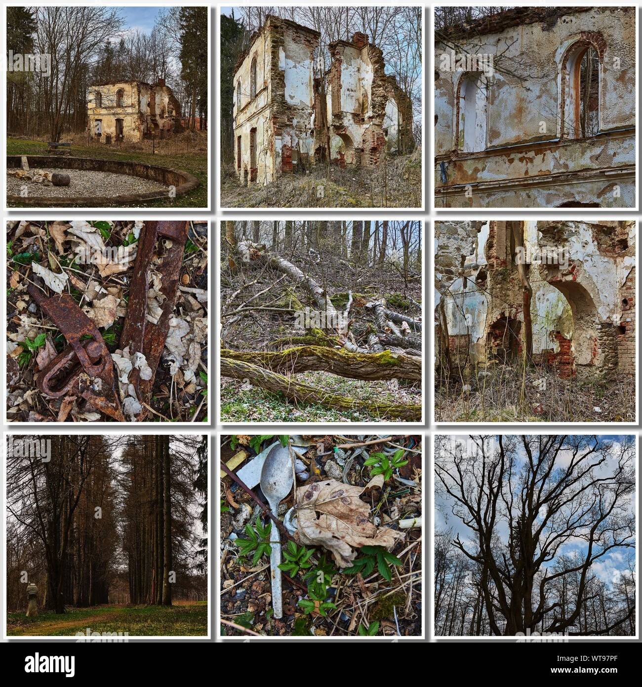 Ruin forest hi-res stock photography and images - Alamy