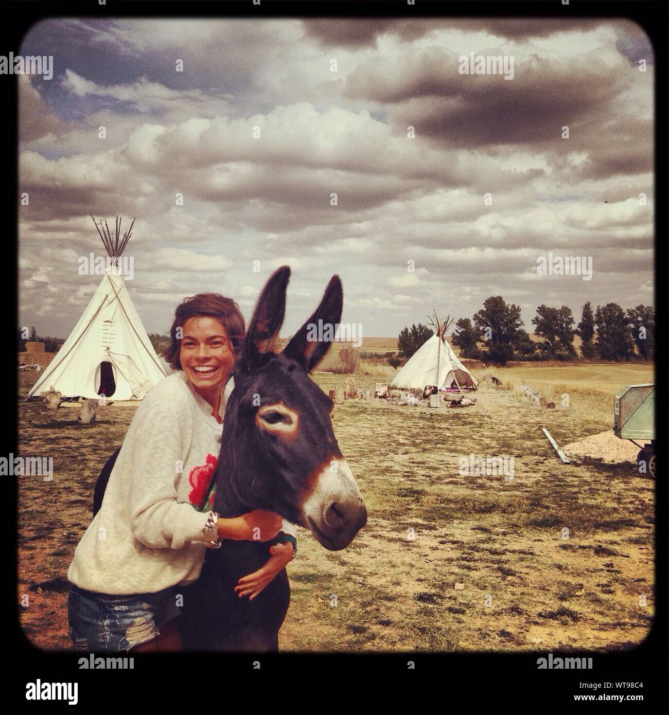 Donkey square hi-res stock photography and images - Alamy