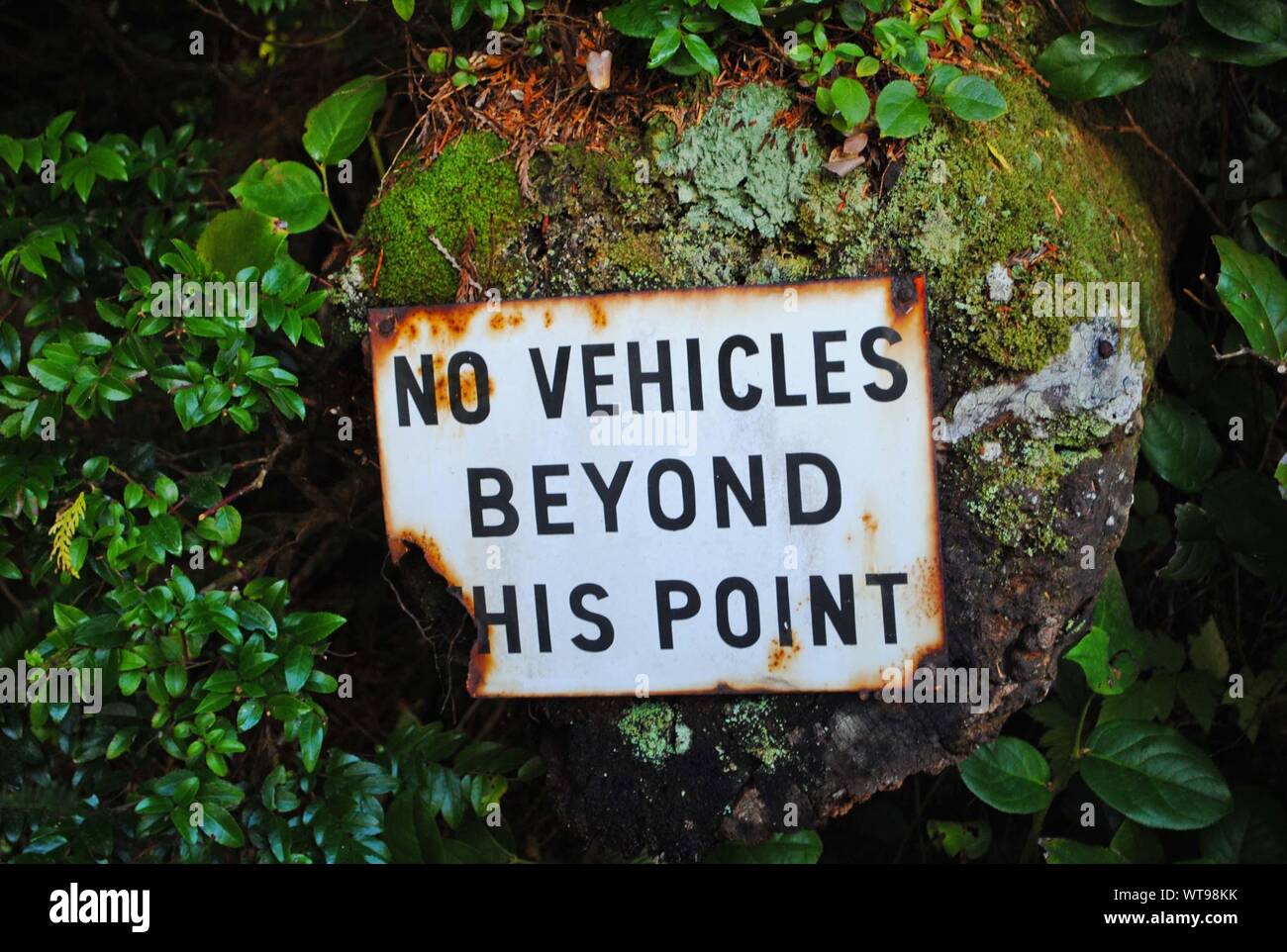 Moss covered sign hi-res stock photography and images - Alamy
