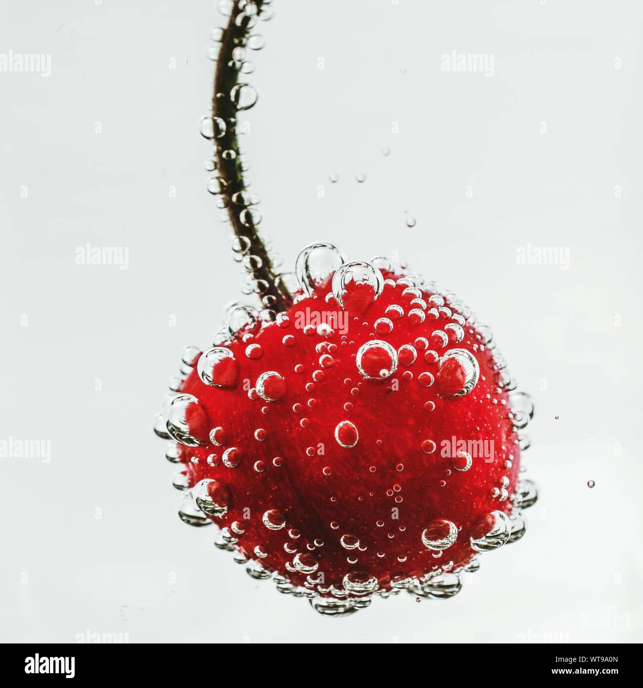 Cherry with water drop hi-res stock photography and images - Alamy