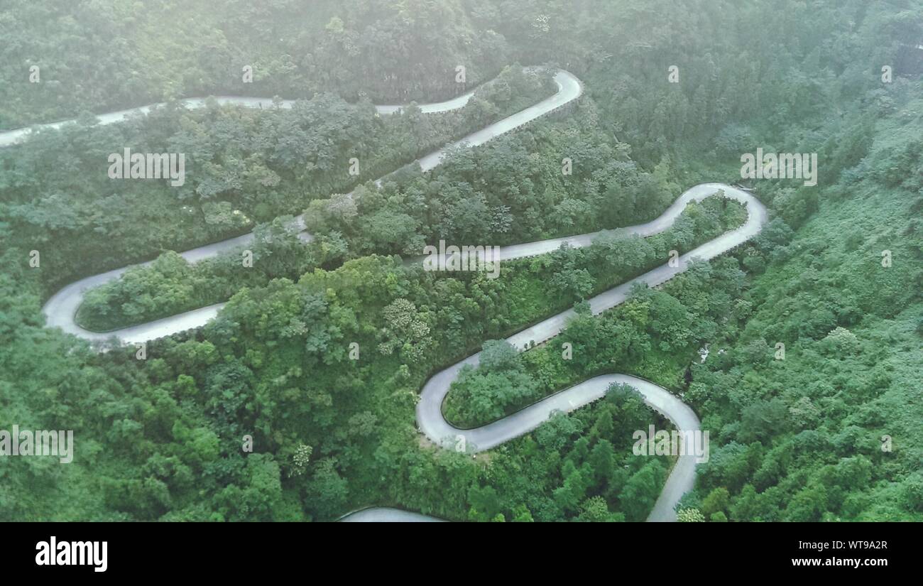 Winding road forest hi-res stock photography and images - Alamy