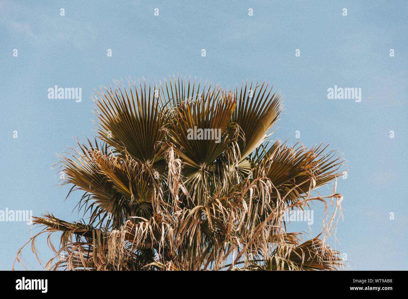 Untrimmed Stock Photos & Untrimmed Stock Images - Alamy