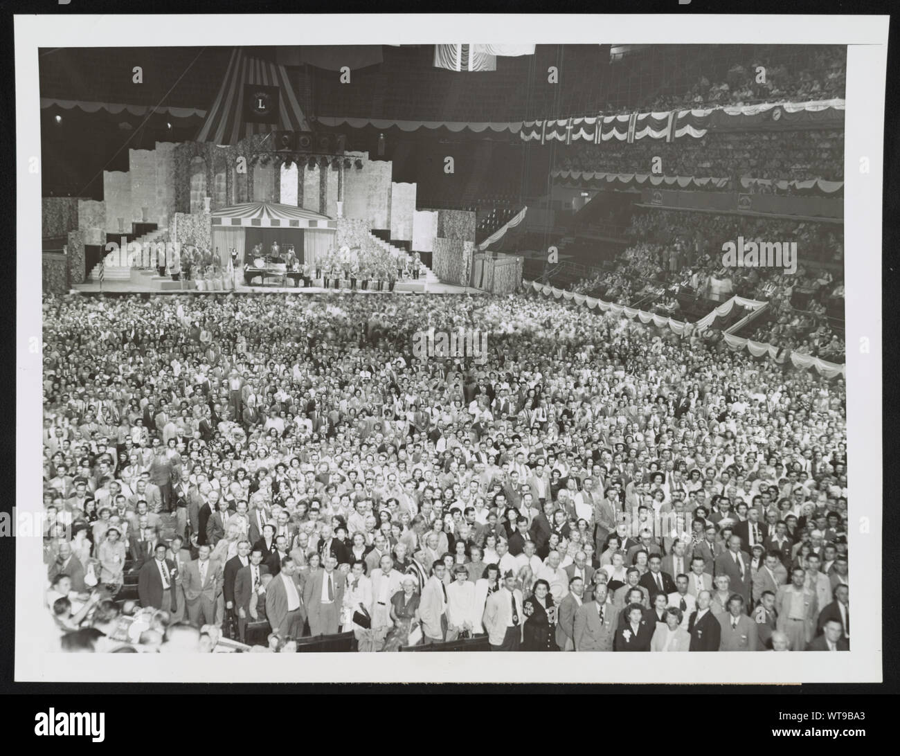 Merlinus hi-res stock photography and images - Alamy