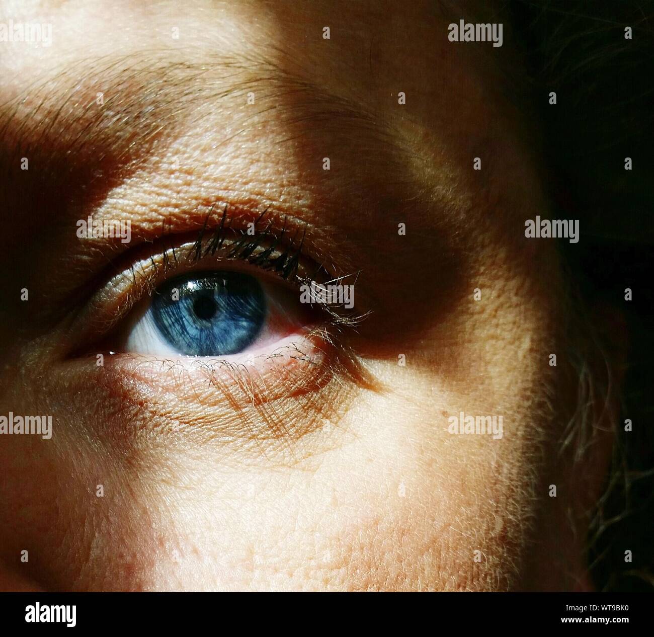 Human eye iris blue hi-res stock photography and images - Alamy
