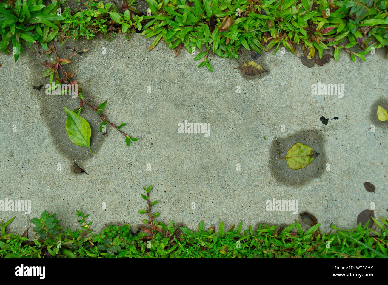 Top view of cement concrete and grass on the ground, use as background ...