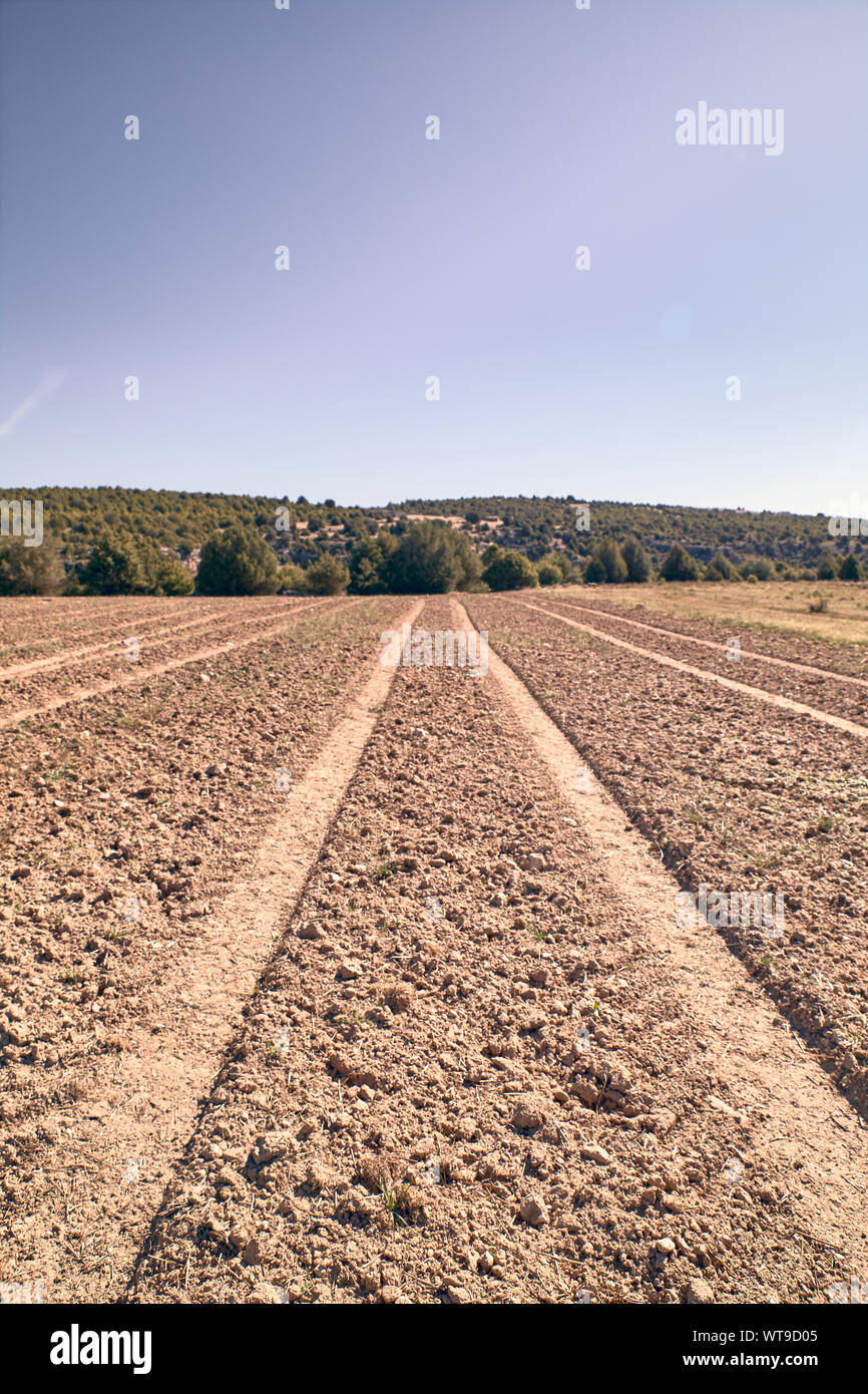 Tractor ruts hi-res stock photography and images - Alamy