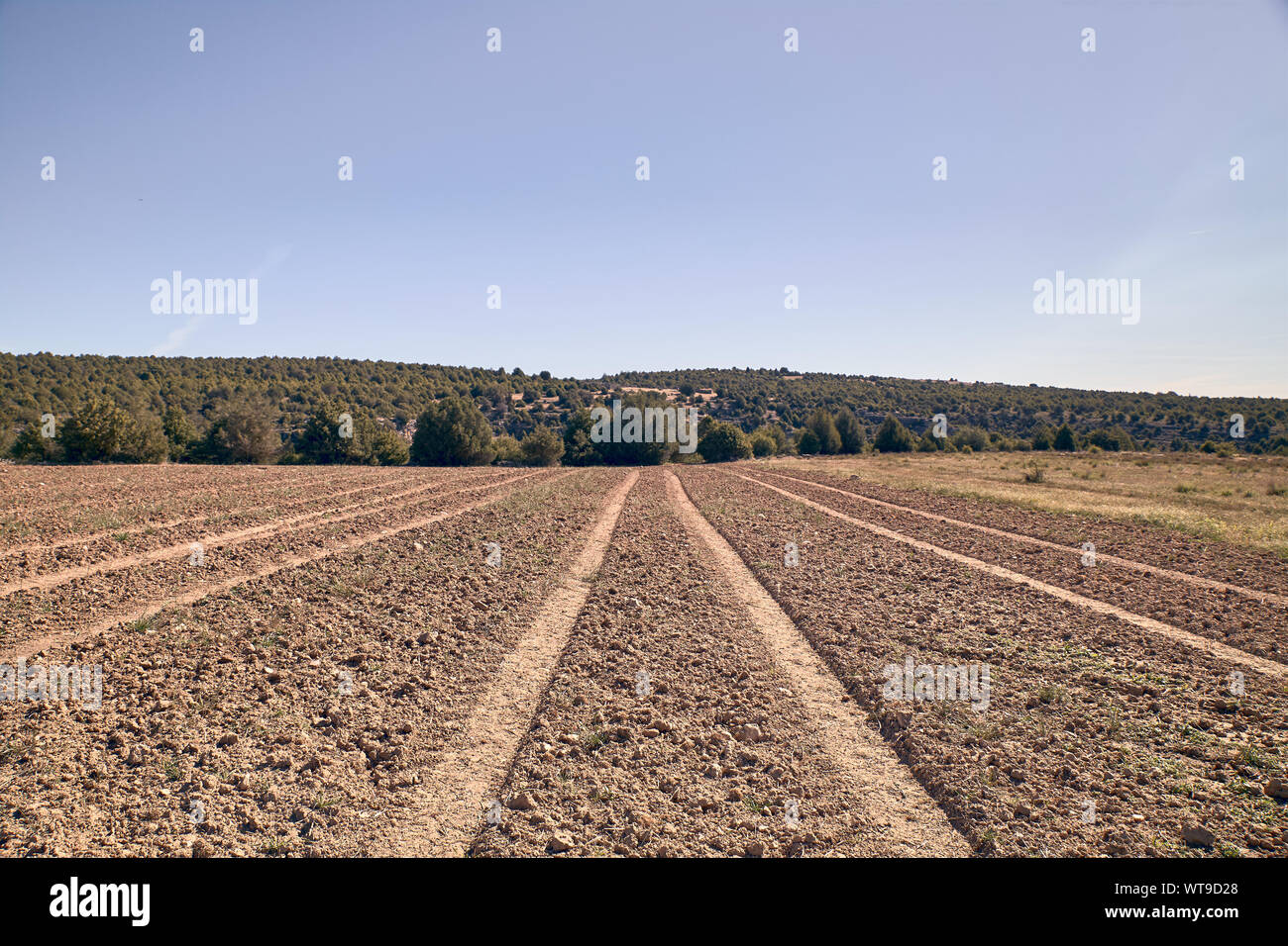 Tractor ruts hi-res stock photography and images - Alamy